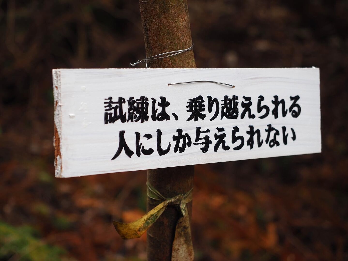 2022.12.11 初めての作礼山 / ksn さんの作礼山の活動データ | YAMAP / ヤマップ