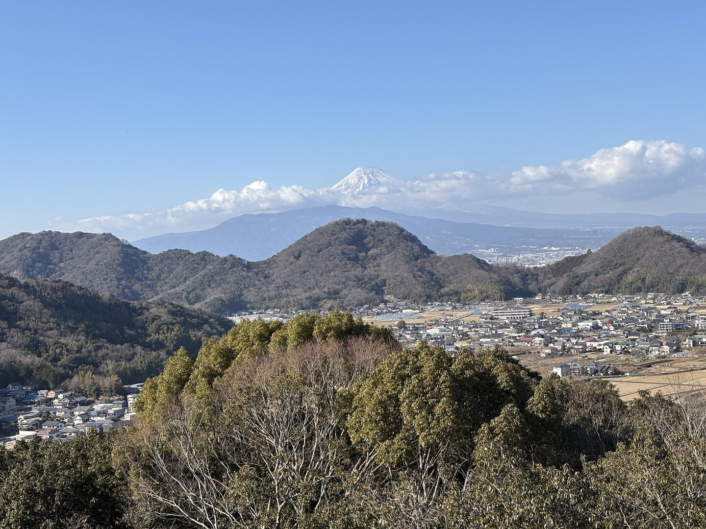 源氏のGP 守山 / Soneqさんの沼津アルプス・鷲頭山・香貫山の活動データ | YAMAP / ヤマップ