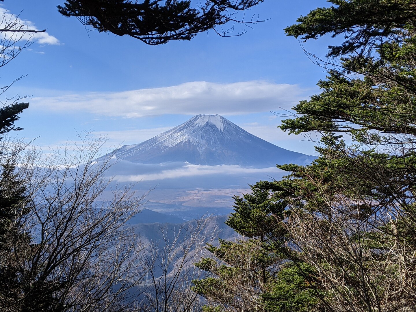 御正体山・前ノ岳・中ノ岳・奥ノ岳・日向峰・石割山 / nicomomoさんの御正体山・杓子山・石割山の活動データ | YAMAP / ヤマップ