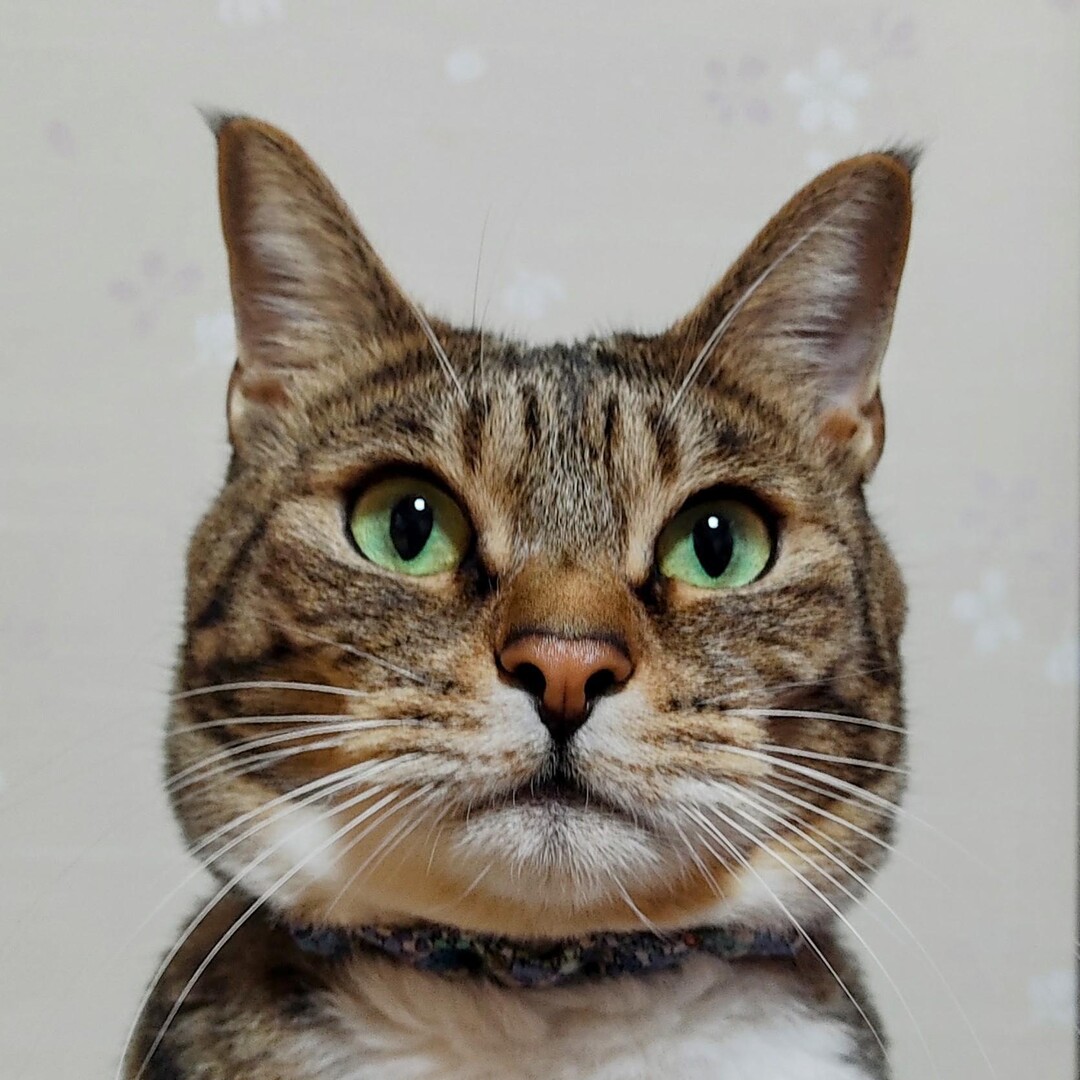 noanoaのページ | YAMAP / ヤマップ