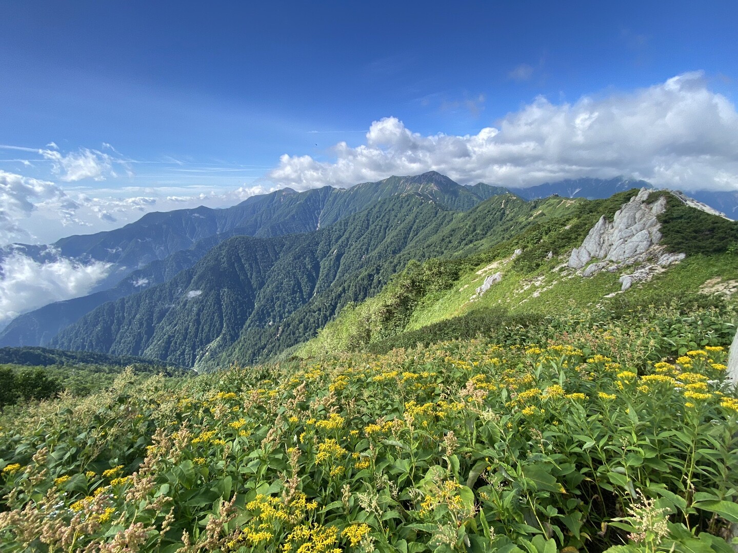 合戦沢の頭・燕岳・北燕岳・大下りノ頭・大天井岳・東天井岳 / Taka32さんの常念岳・大天井岳・燕岳の活動日記 | YAMAP / ヤマップ