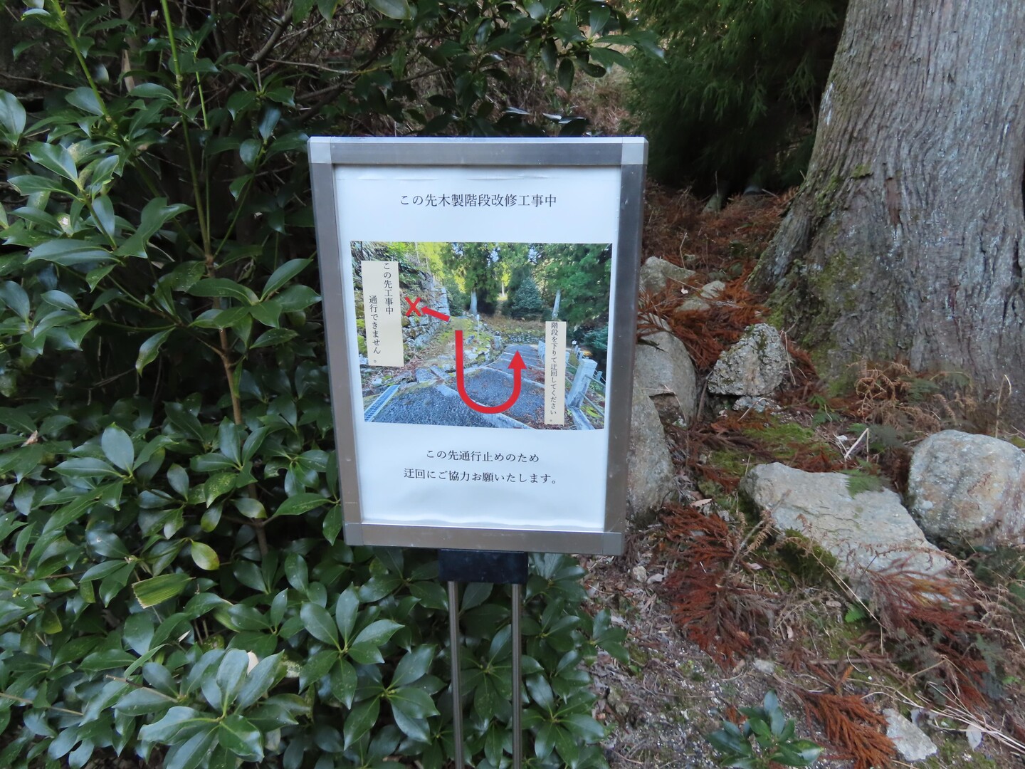 Mr.slimさんの投稿したフィールドメモ | YAMAP / ヤマップ