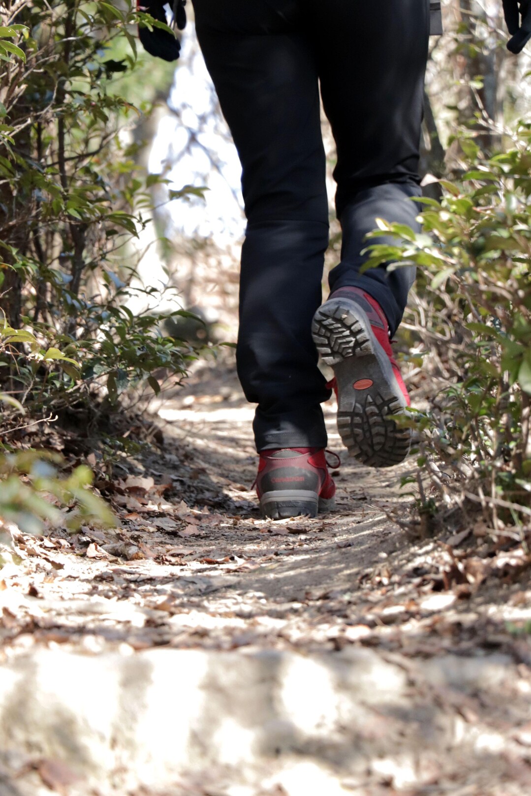 和気アルプス - machikoさんにバッヂを / R1さんの和気アルプス・和気富士・神ノ上山の活動データ | YAMAP / ヤマップ