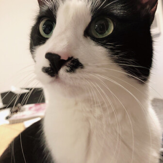 gomaのページ | YAMAP / ヤマップ