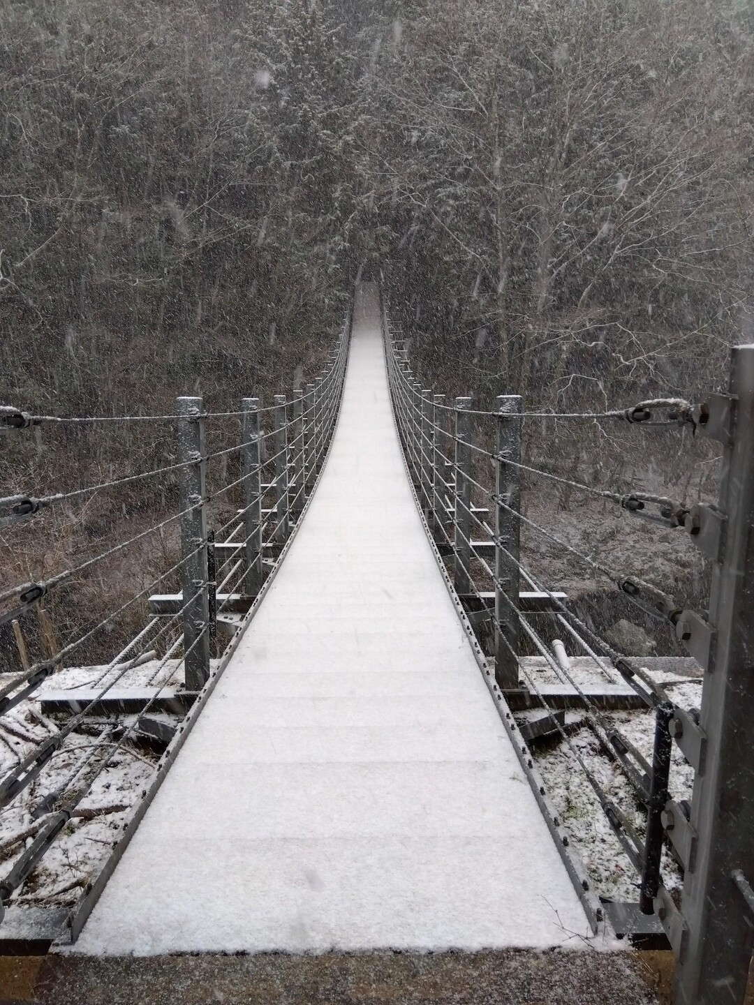 観音峯山（観音峯登山口→洞川） / chica de montañaさんの観音峯山・大普賢岳・山上ヶ岳・稲村ヶ岳の活動データ | YAMAP / ヤマップ
