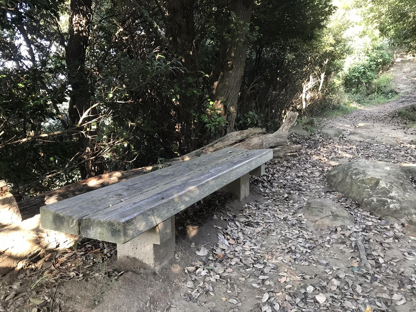 bamboo.misa🎋さんの投稿したフィールドメモ | YAMAP / ヤマップ