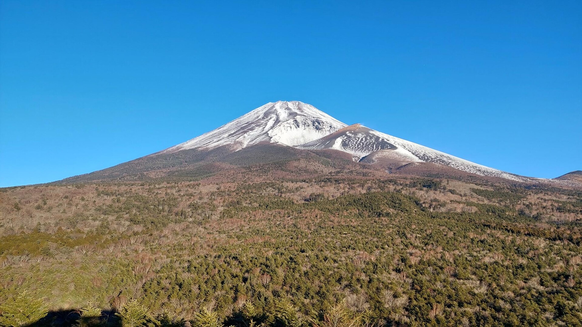 富士山、腰切塚と浅間大社で初詣⛩️ / blueskyさんの富士山の活動データ | YAMAP / ヤマップ