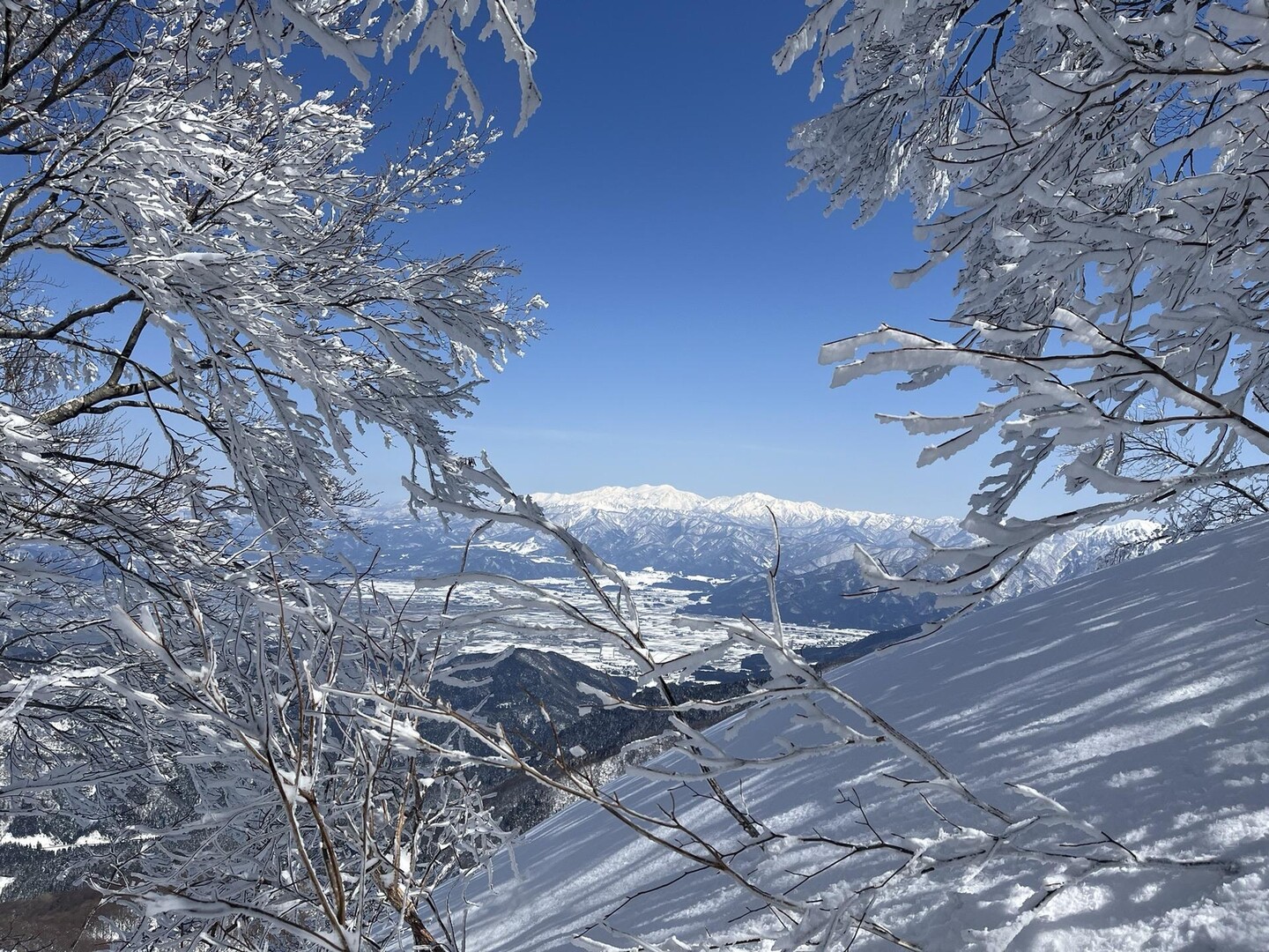 銀杏峯 / coyaさんの銀杏峰・部子山の活動日記 | YAMAP / ヤマップ