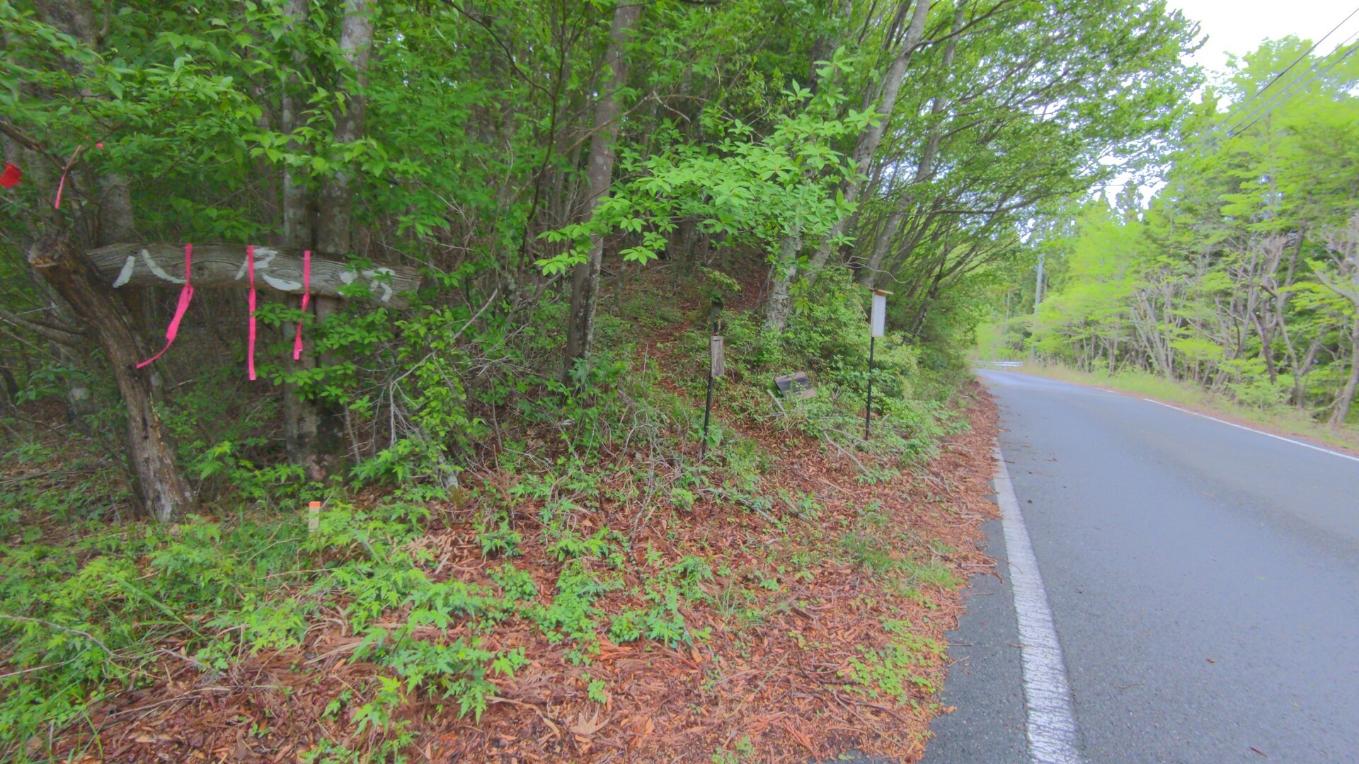 Atsushiさんの投稿したフィールドメモ | YAMAP / ヤマップ