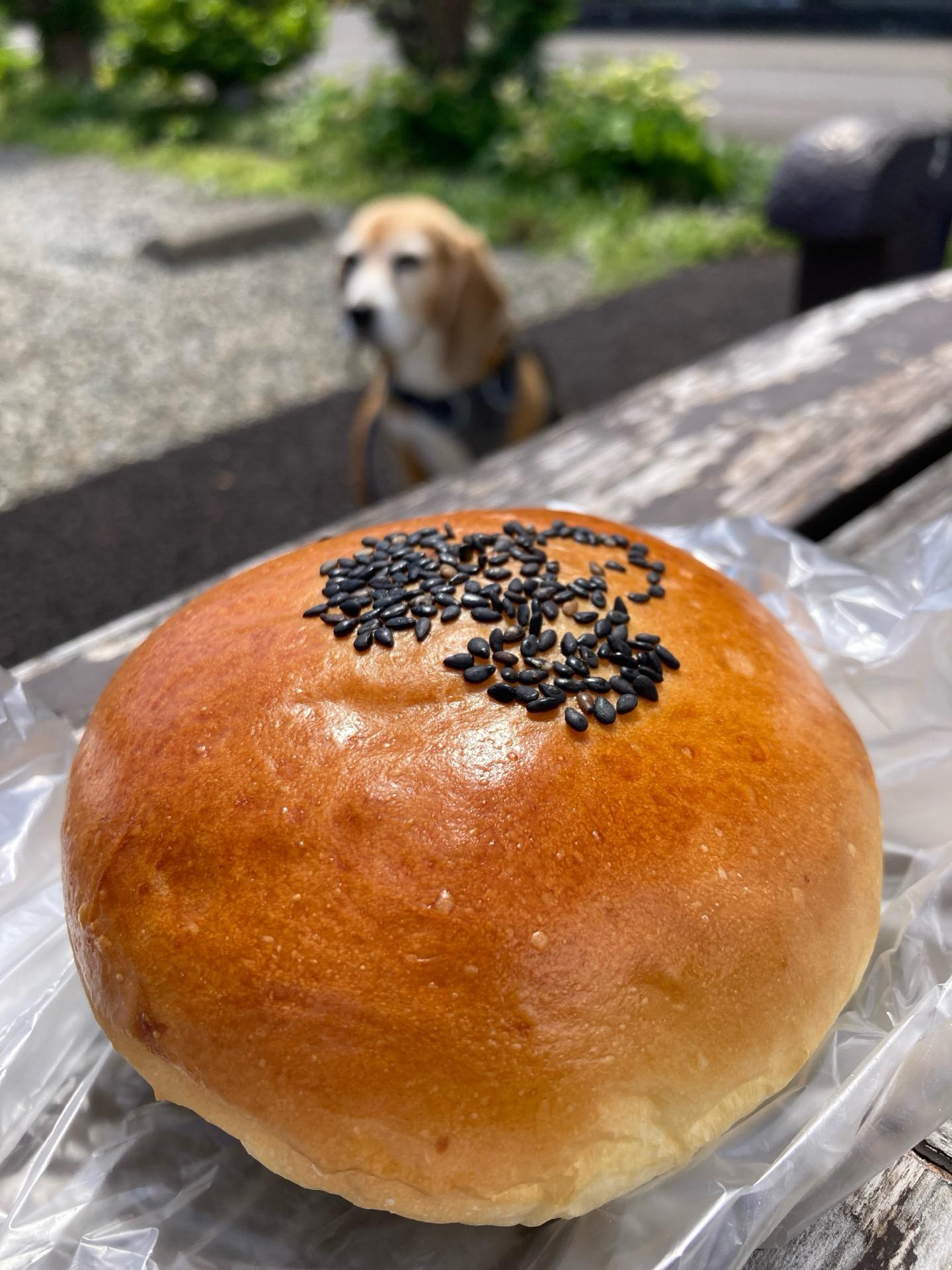 愛宕山・双子山・八木山 犬連れ / 山旅犬🐶ロマチッチ lomachicciさんの各務原アルプス（関南アルプス）・八木三山の活動データ | YAMAP / ヤマップ