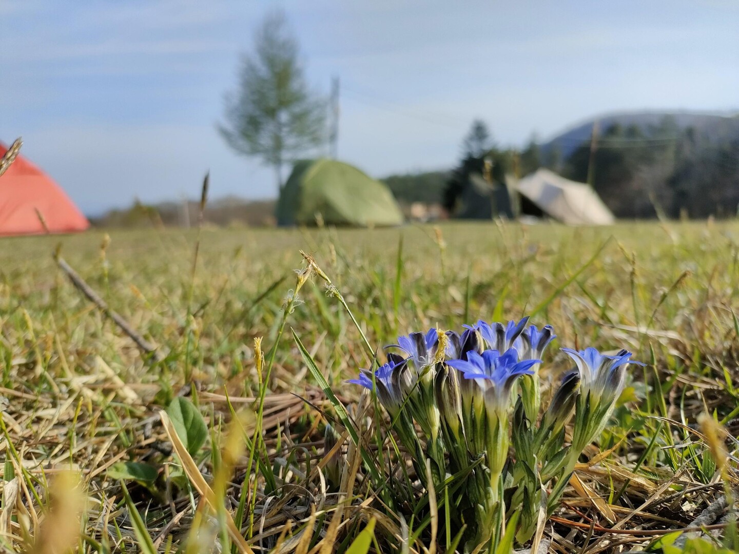たかはらHike de Camp🏕 / gontaさんの高原山・釈迦ヶ岳・鶏頂山の活動データ | YAMAP / ヤマップ