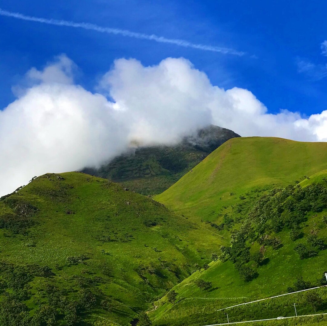 honeysのページ | YAMAP / ヤマップ