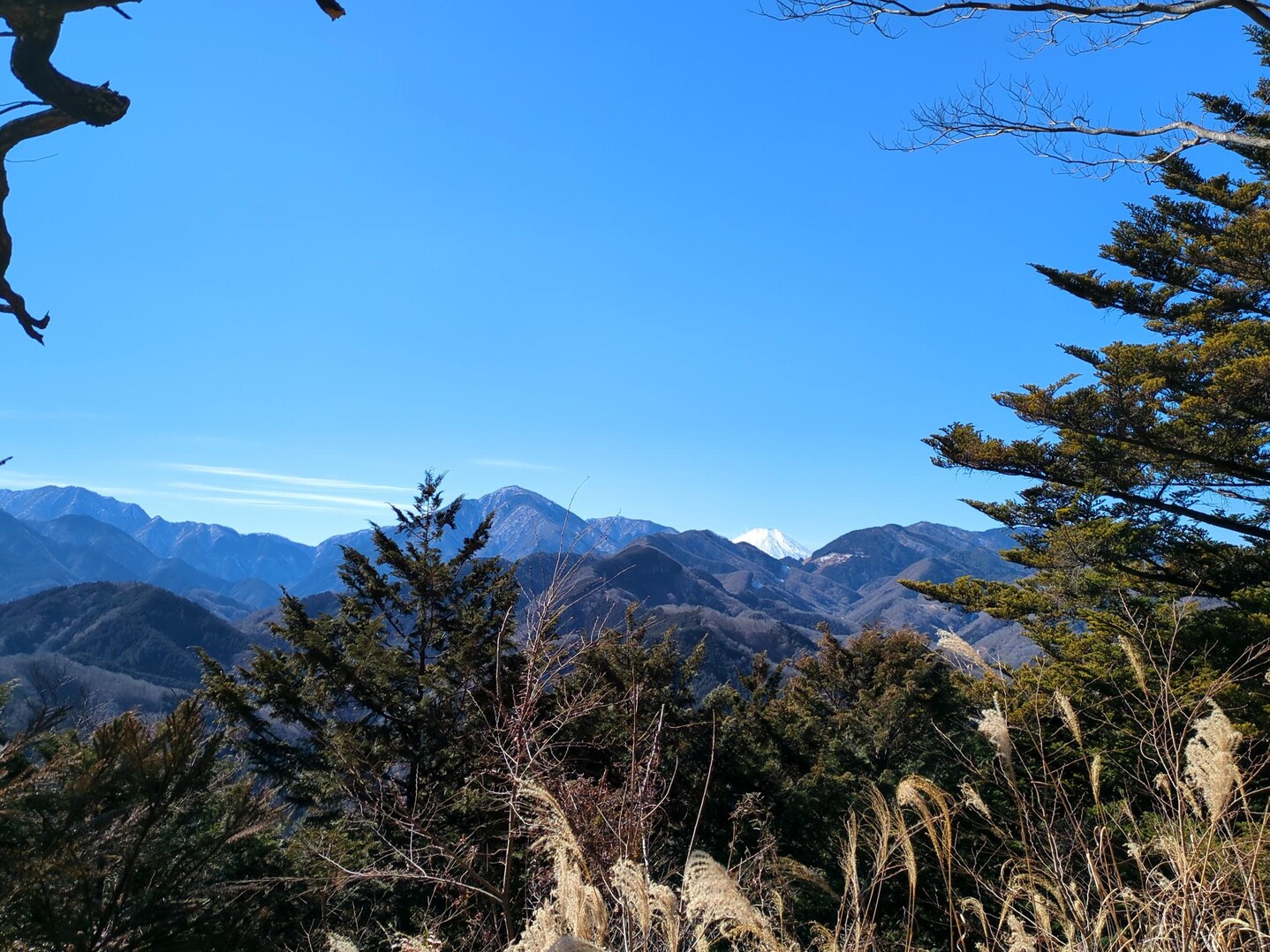 峰山 / ko usさんの大室山・畦ヶ丸山・菰釣山の活動データ | YAMAP / ヤマップ
