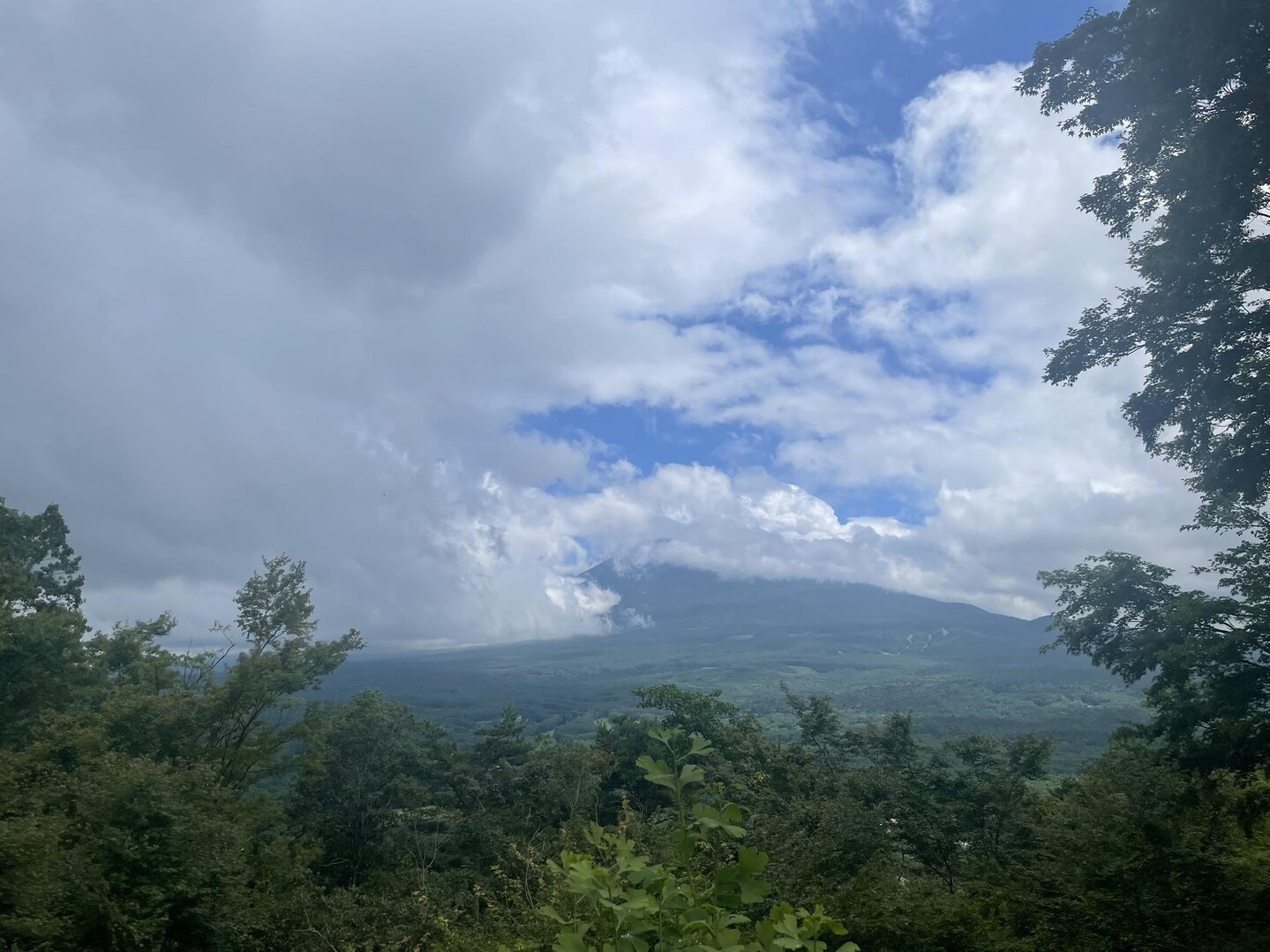 青木ヶ原樹海ハイキング / maya_ponさんの富士山の活動データ | YAMAP / ヤマップ