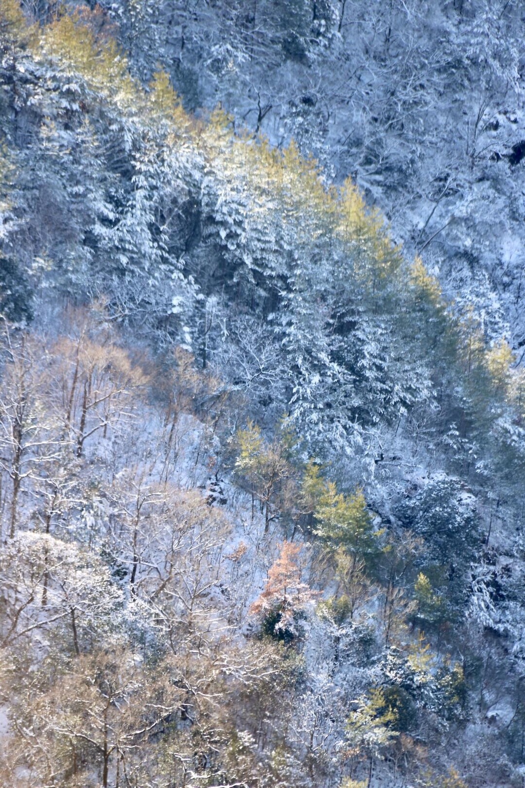🏃‍♂️💨週末の山トレ・ハ–フ21kそしてまたまたおまとめの行動日記🙇‍♂️🏃‍♀️🏃💨 / tataさんの各務原アルプス（関南アルプス）・八木三山の活動データ | YAMAP / ヤマップ
