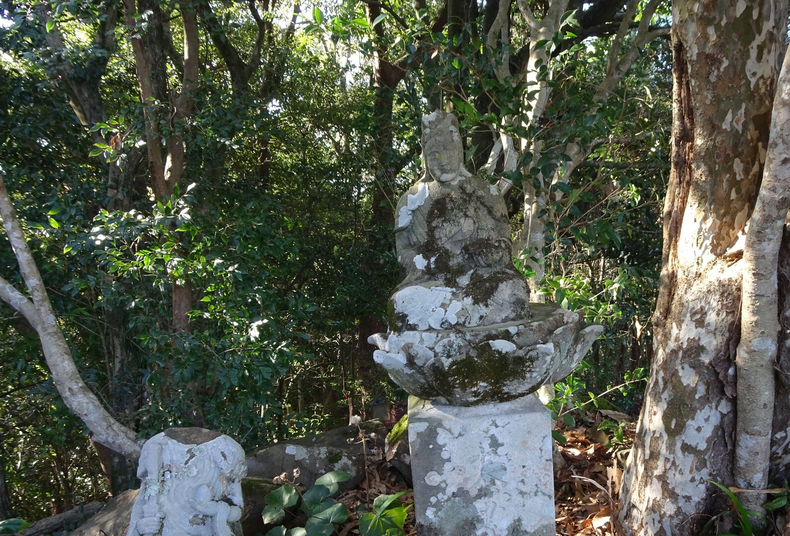 現川の低山 2024 / Tara さんの長崎市の活動日記 | YAMAP / ヤマップ