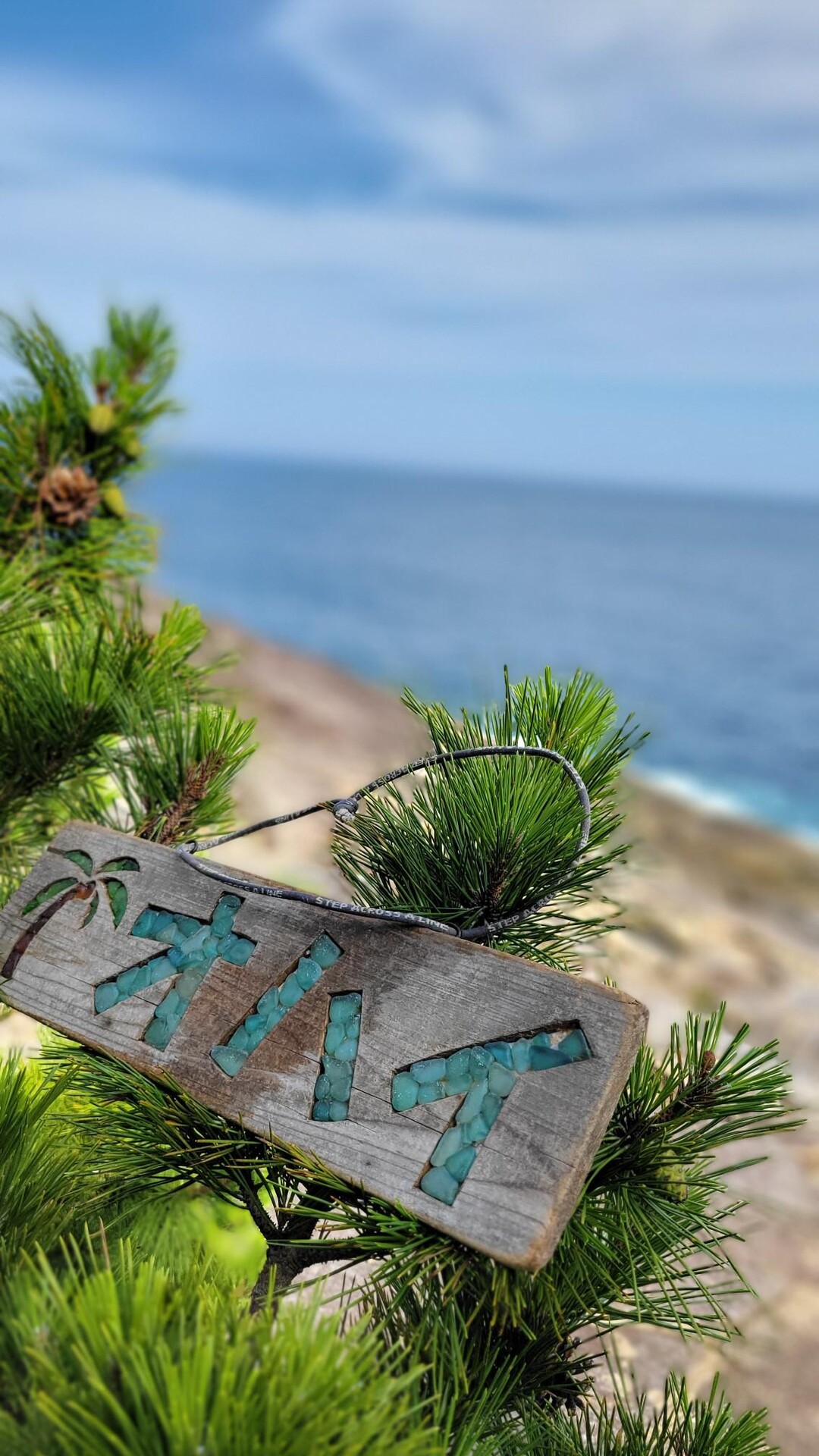 夏ダ Ohaiダ🌴 / Mr.マーブルさんの八鬼山・頂山・オハイの活動データ | YAMAP / ヤマップ