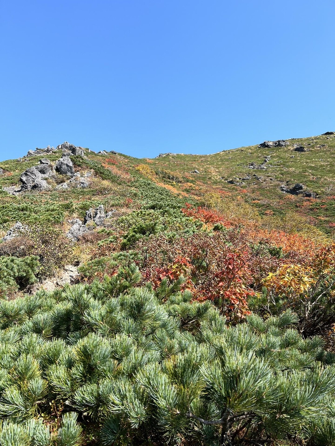 岩手山・御神坂・お鉢巡り / のむねるさんの岩手山・八幡平・安比高原 50km トレイルの活動データ | YAMAP / ヤマップ