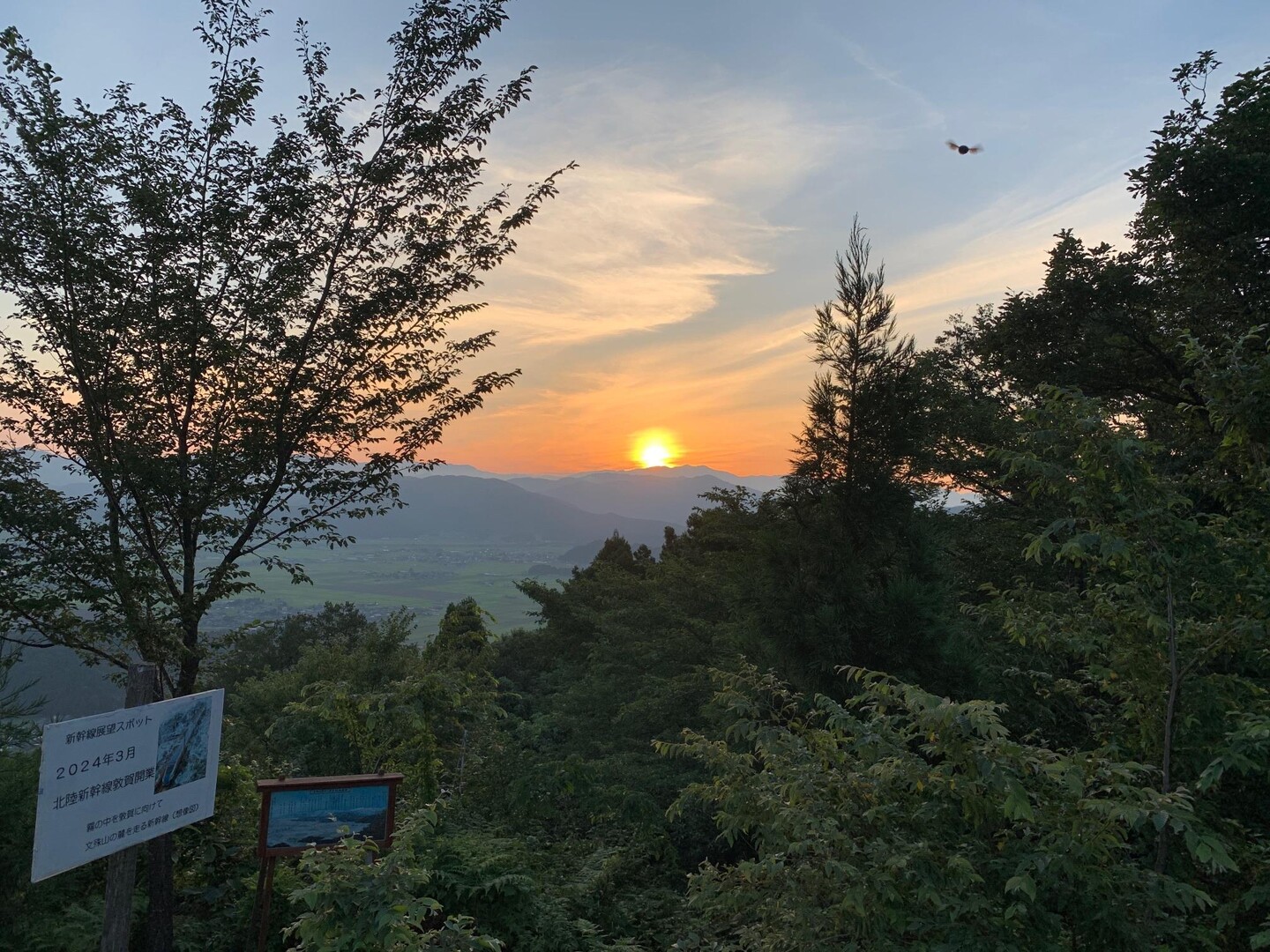 ソロで2MJ🔰（4MJは撤退💦） / JOG太郎さんの文殊山の活動データ | YAMAP / ヤマップ