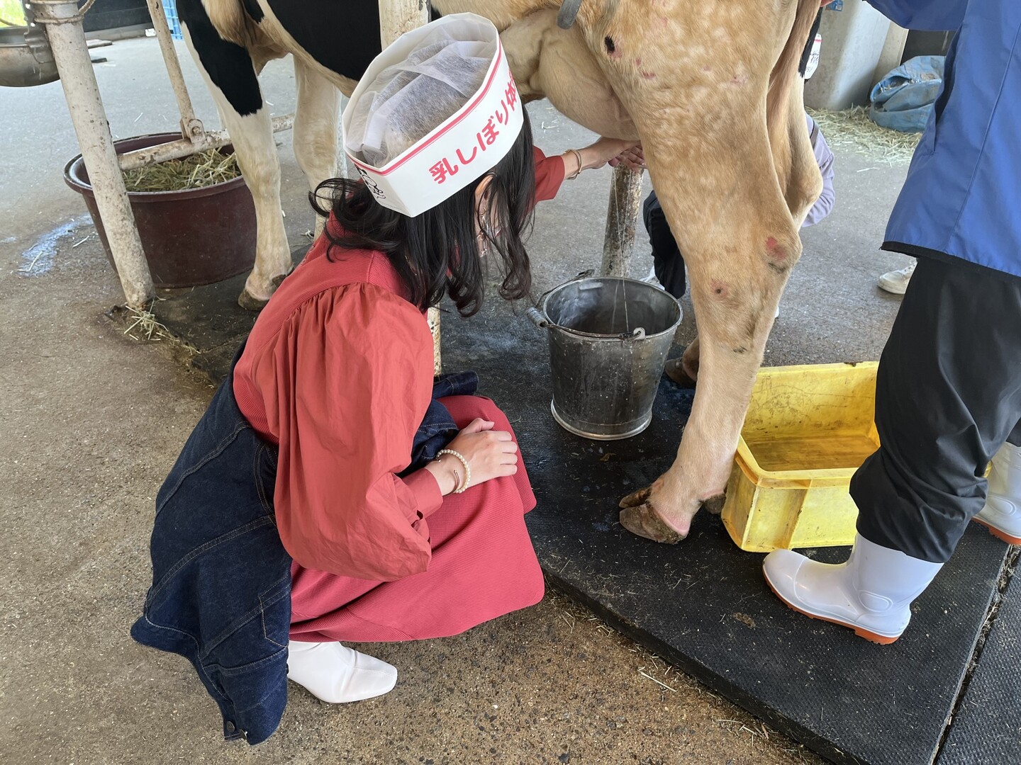 🐄子供の頃から🐄 乳絞りしたいと思... / MIHOさんのモーメント | YAMAP / ヤマップ