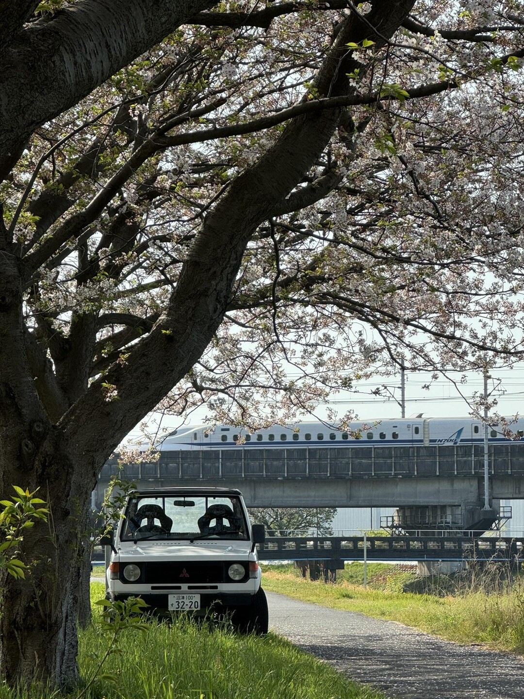 今朝の富士市潤井川でのあさんぽです 今年... / ta614さんのモーメント | YAMAP / ヤマップ