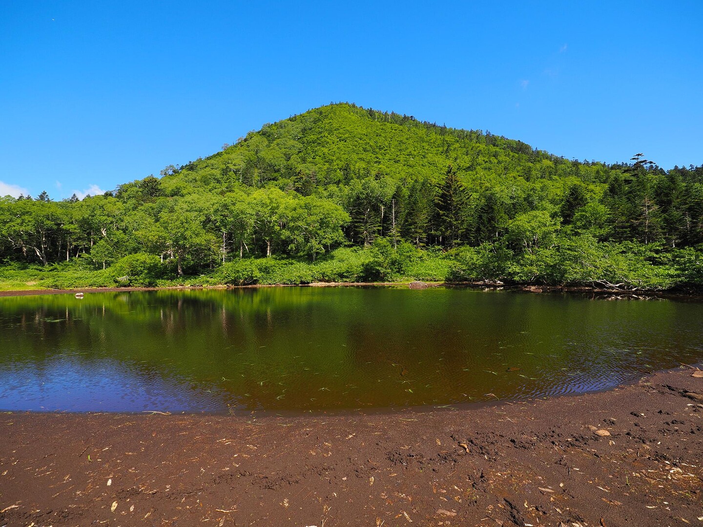 黒姫山（長野県） / JunJunさんの黒姫山の活動データ | YAMAP / ヤマップ