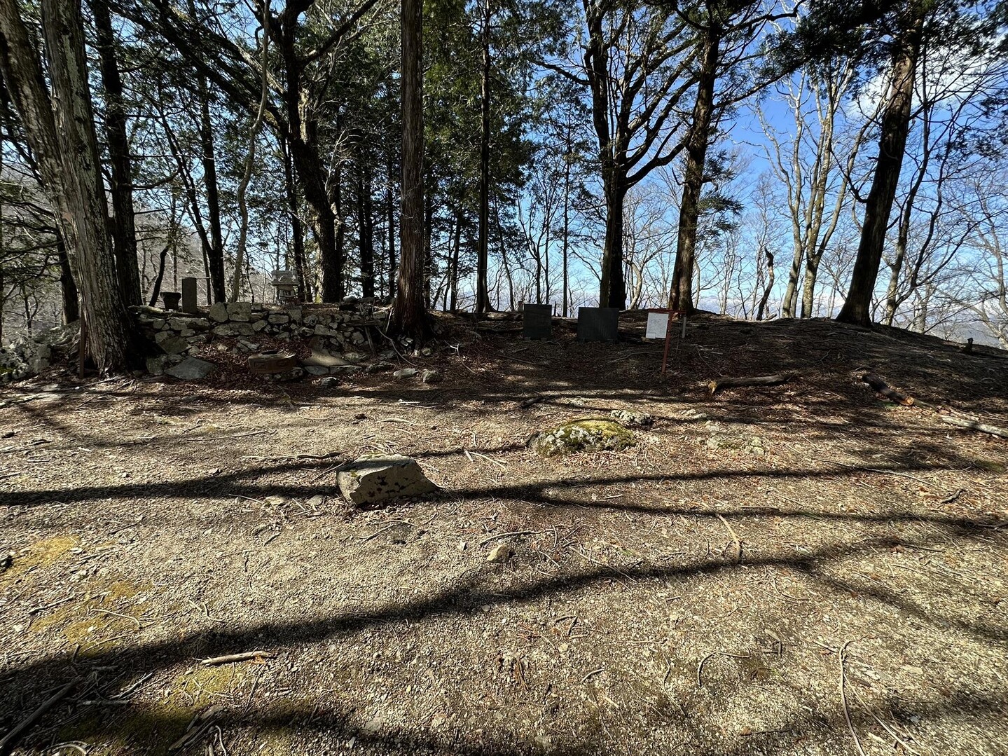 悠汰さんの投稿したフィールドメモ | YAMAP / ヤマップ