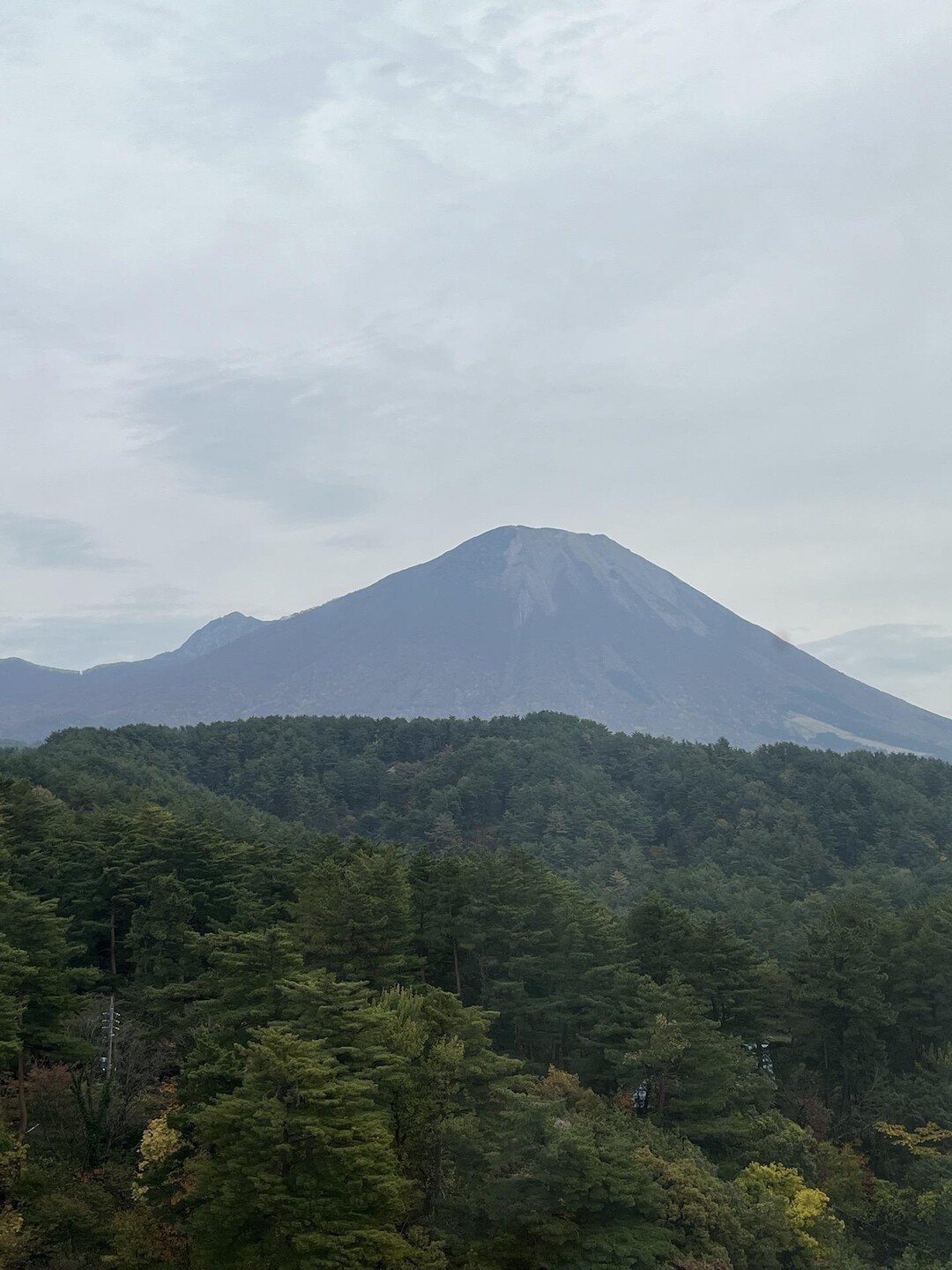 初めての大山⛰️ R6/11/15🌧️ / さやっぺさんの大山・甲ヶ山・野田ヶ山の活動データ | YAMAP / ヤマップ