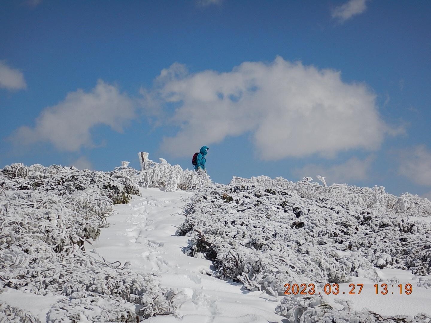 チセヌプリ・832m峰 / came-ponさんのニセコアンヌプリ・イワオヌプリ・チセヌプリの活動データ | YAMAP / ヤマップ