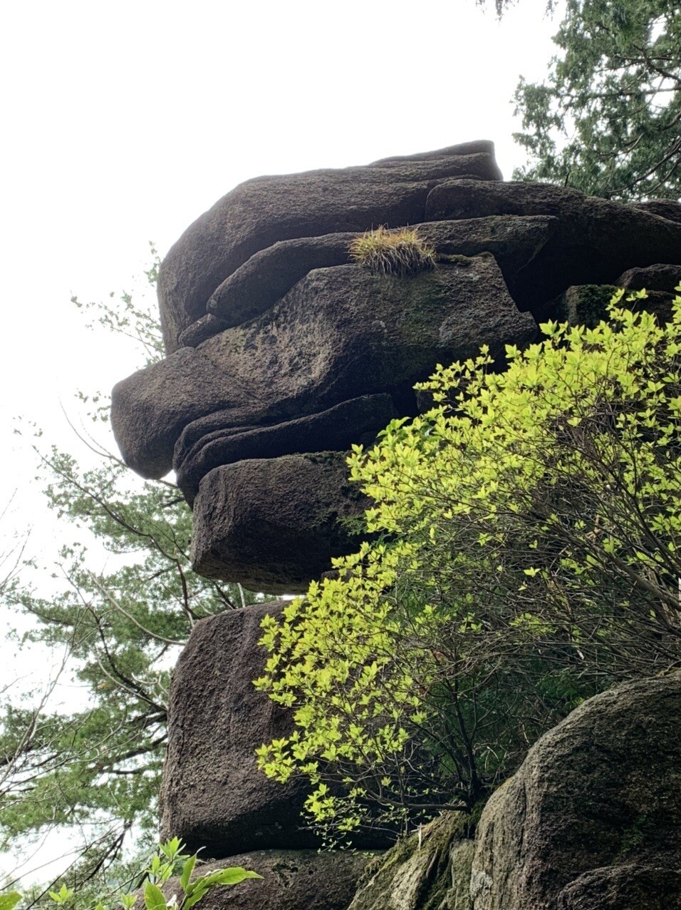 コリカキ場 テン泊 テンカラ / nicole_cryptoさんの釈迦ヶ岳の活動データ | YAMAP / ヤマップ