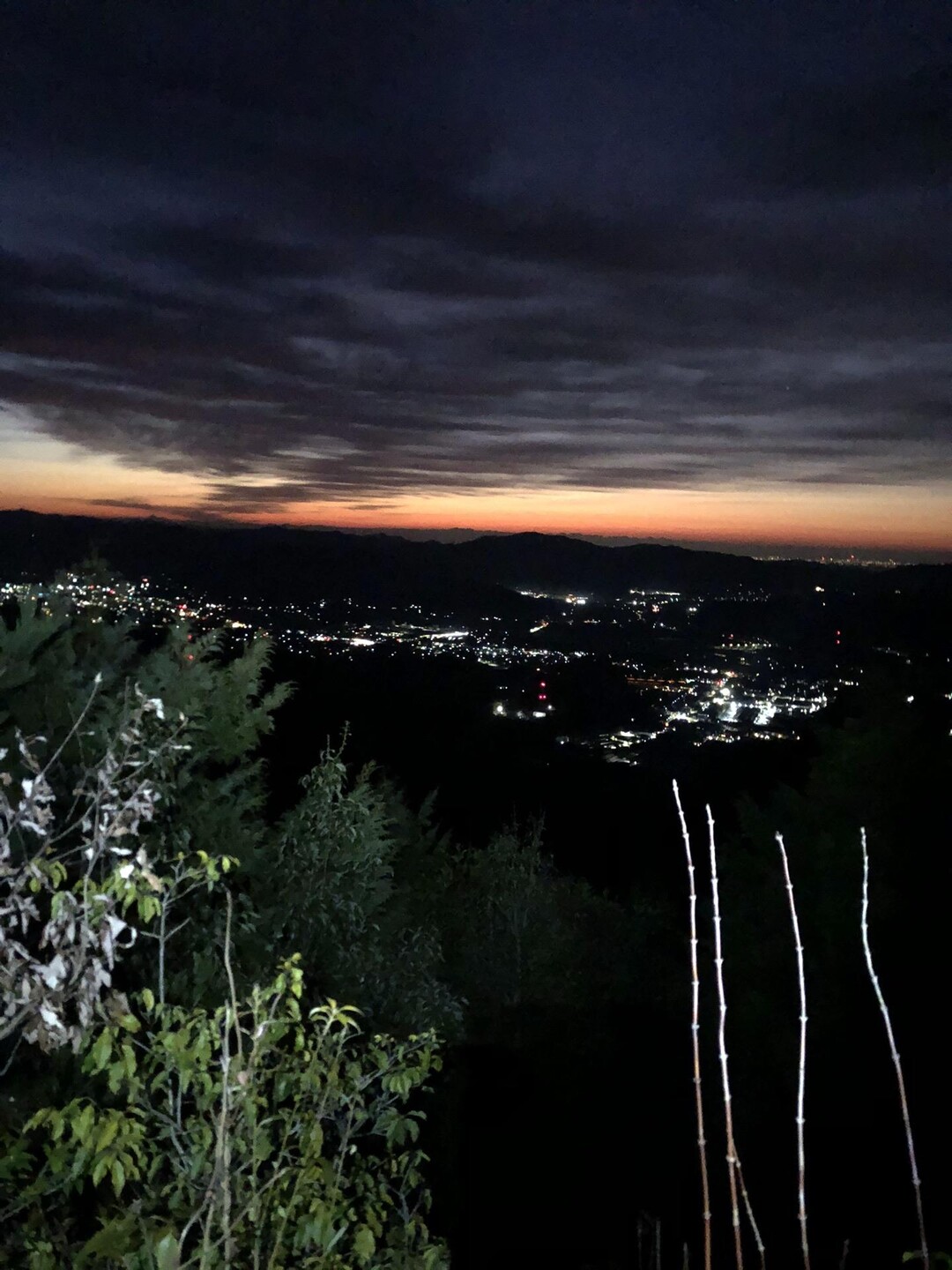 ASK🏃‍♂️本宮山⛰14 / スカじいさんの本宮山・大日山・風頭山の活動日記 | YAMAP / ヤマップ