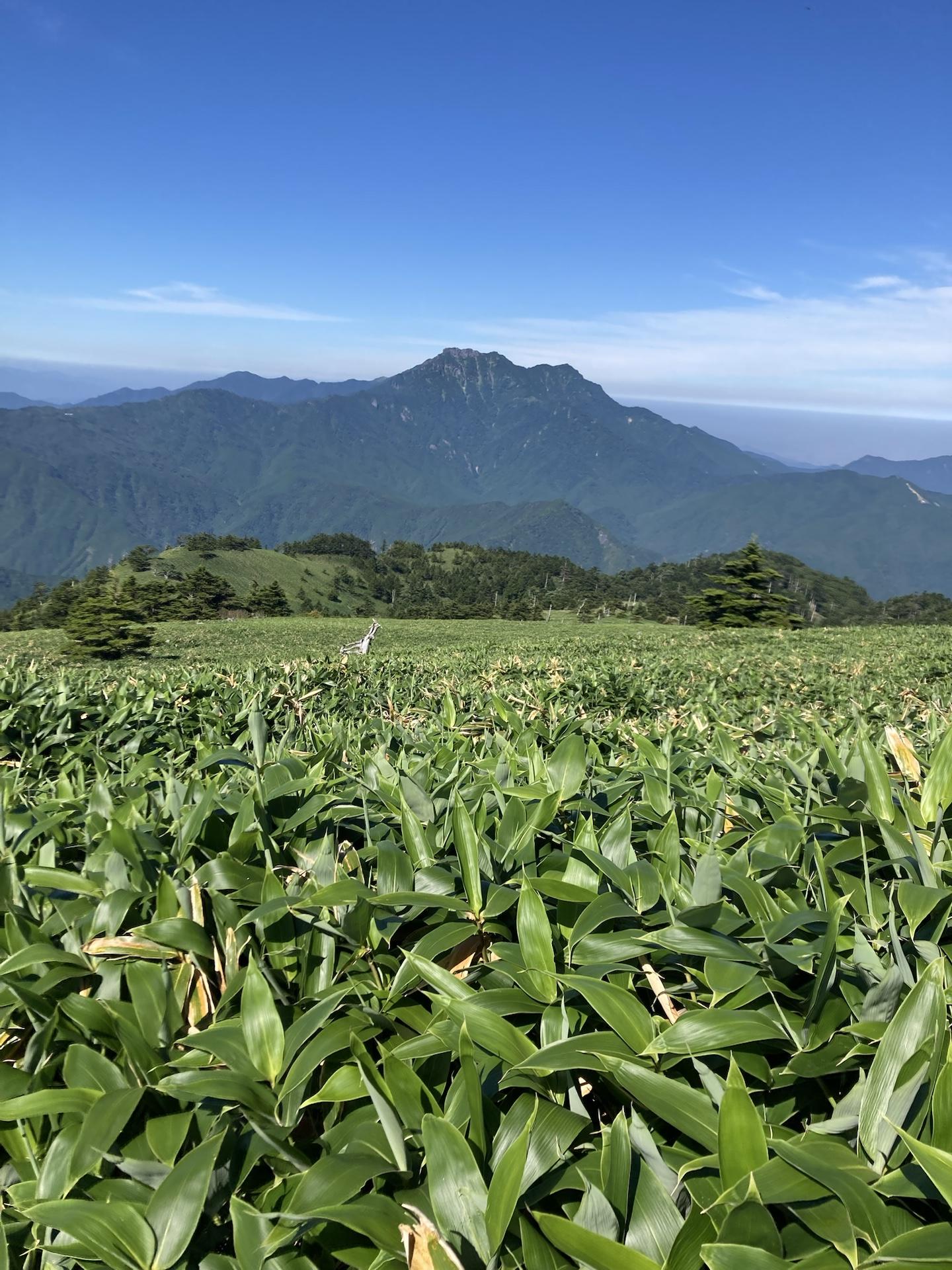 男山・瓶ヶ森 スタンプラリー / ubaさんの瓶ヶ森・伊予富士の活動データ | YAMAP / ヤマップ