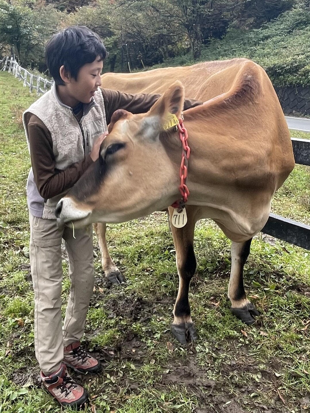 神津牧場🐂 10/15(土)もみじ... / TAIGAマンさんのモーメント | YAMAP / ヤマップ