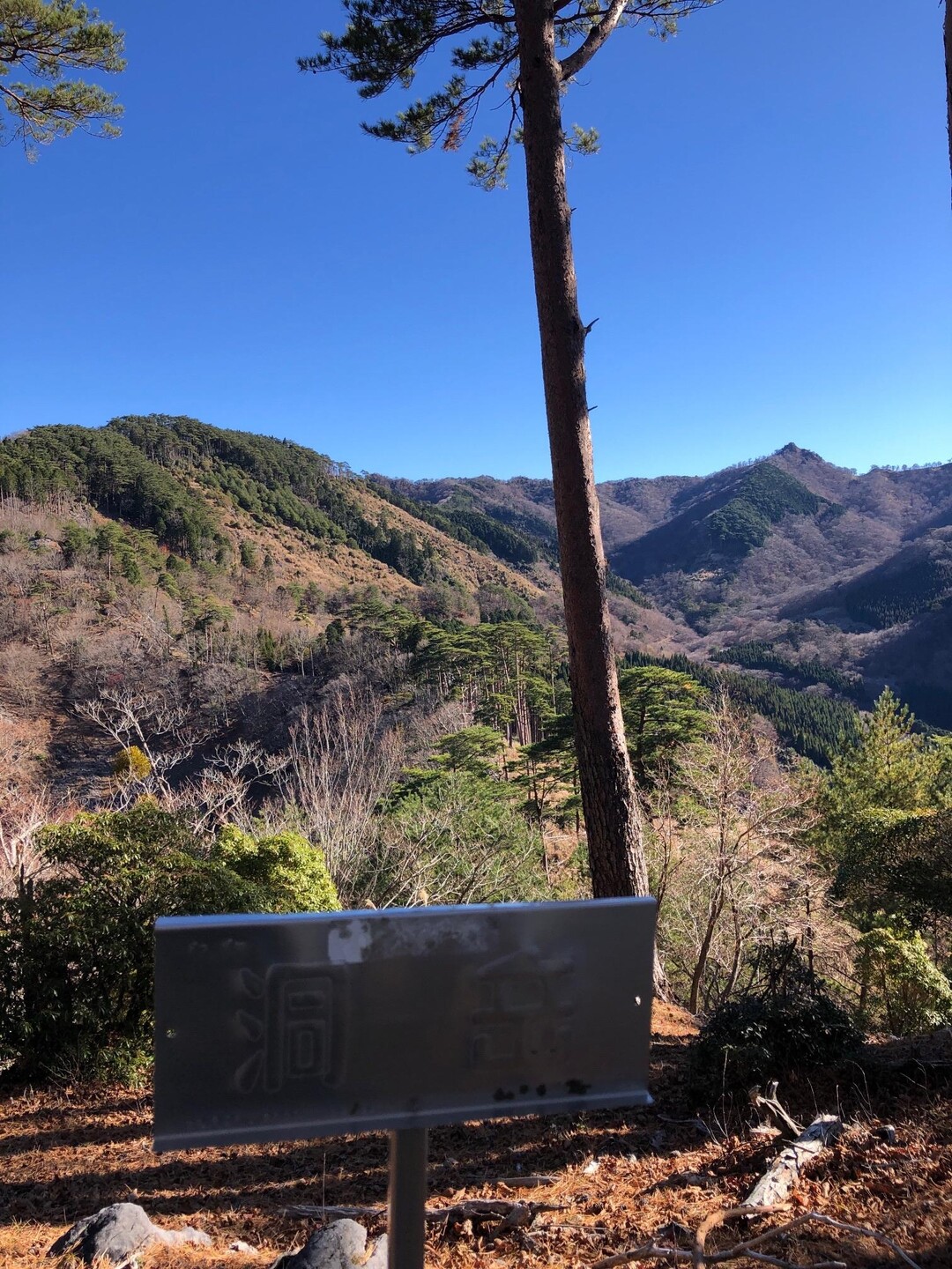 洞岳・五葉岳・兜巾岳 / ORIBAさんの大崩山・五葉岳・新百姓山の活動データ | YAMAP / ヤマップ