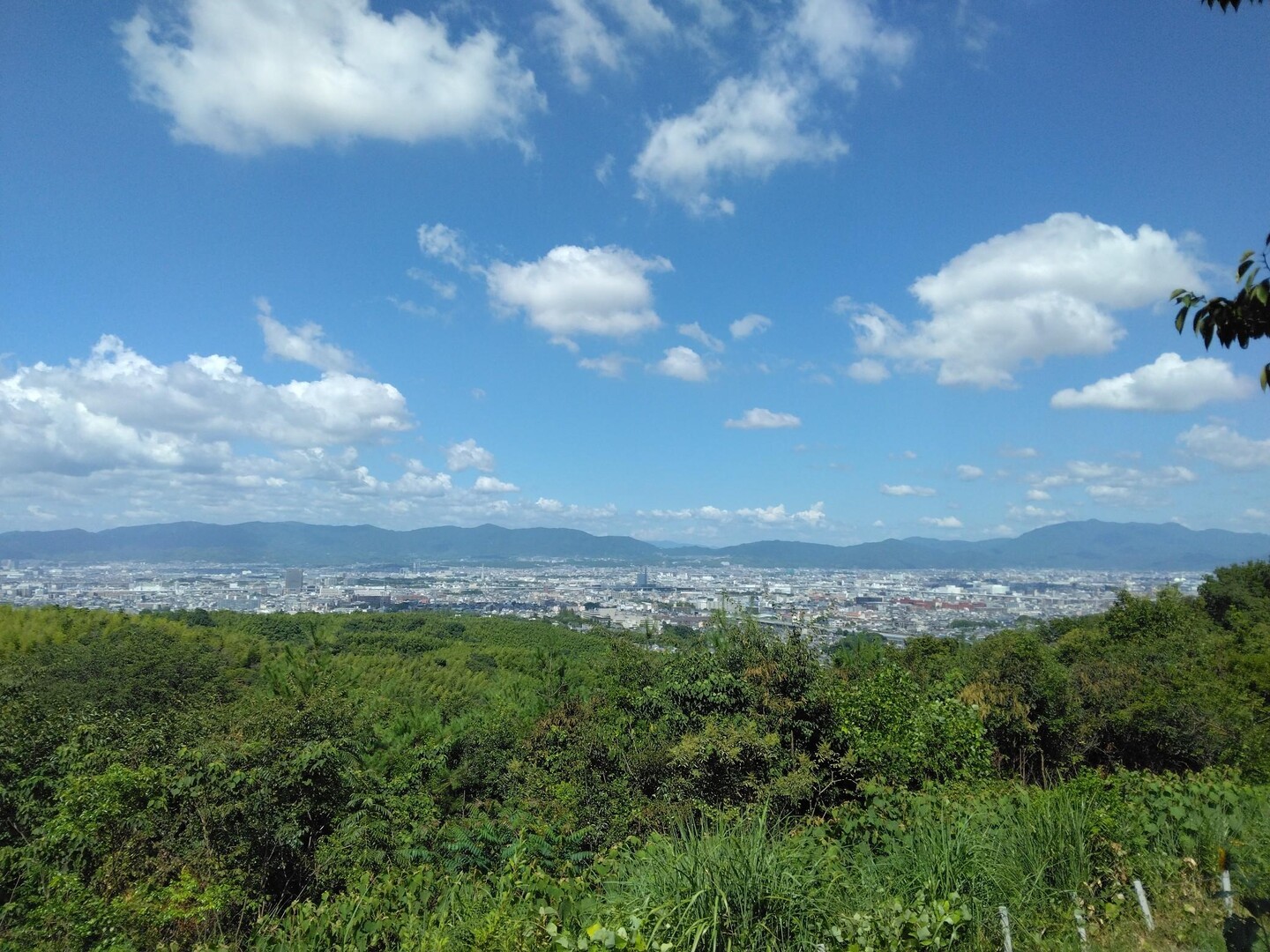 大岩山 / piroさんの京都一周トレイルの活動データ | YAMAP / ヤマップ