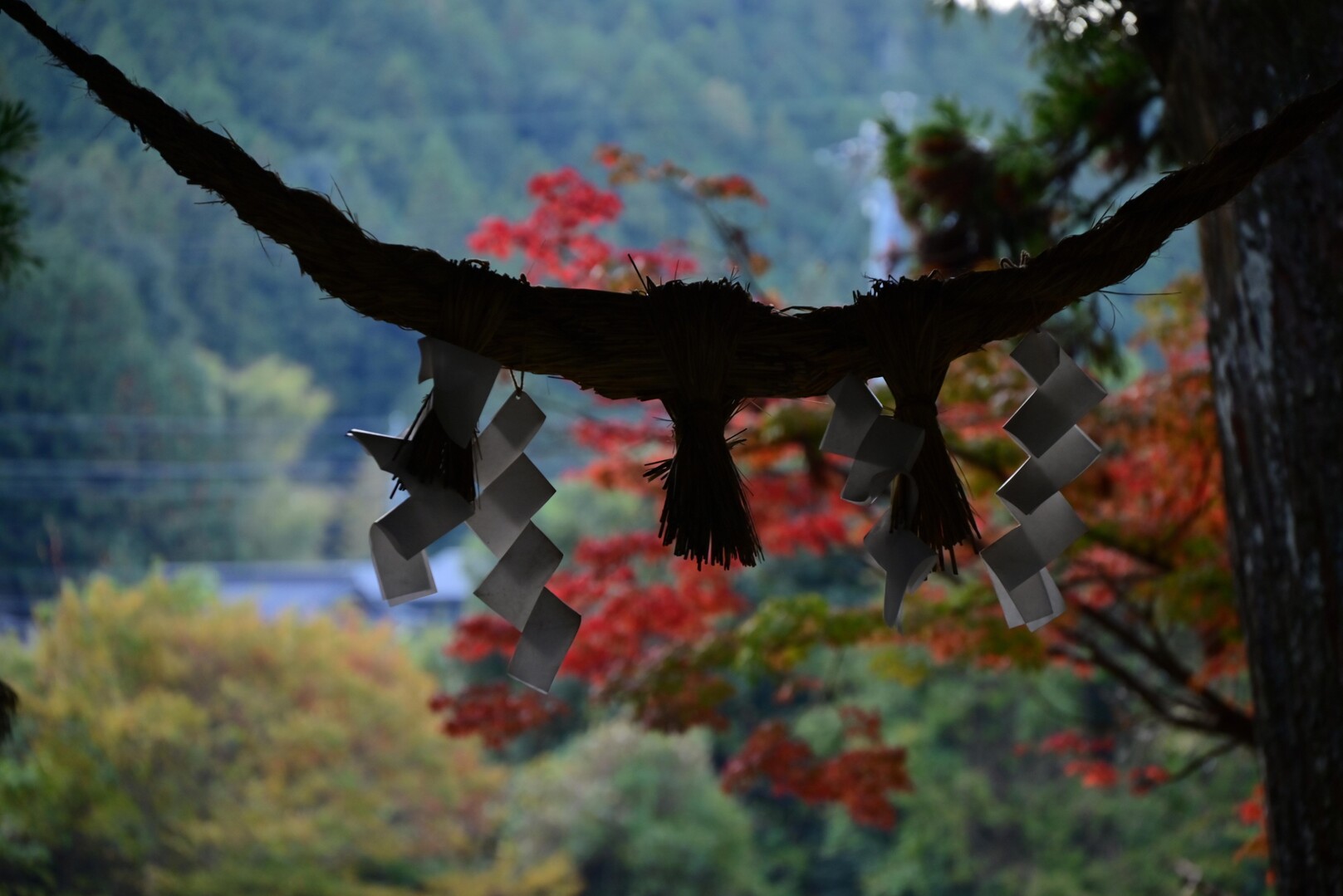 これからをたずねて45里 / k3さんの蕪山の活動データ | YAMAP / ヤマップ