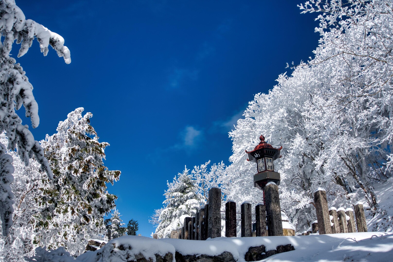 今年は少し早い時期から「いつものご意見募... / persさんのモーメント | YAMAP / ヤマップ