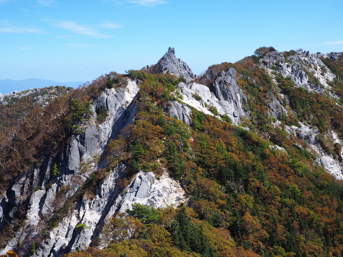 鳳凰三山＆高嶺（夜叉神⇒広河原） / N7さんの鳳凰山・地蔵岳・観音岳・薬師岳の活動データ | YAMAP / ヤマップ