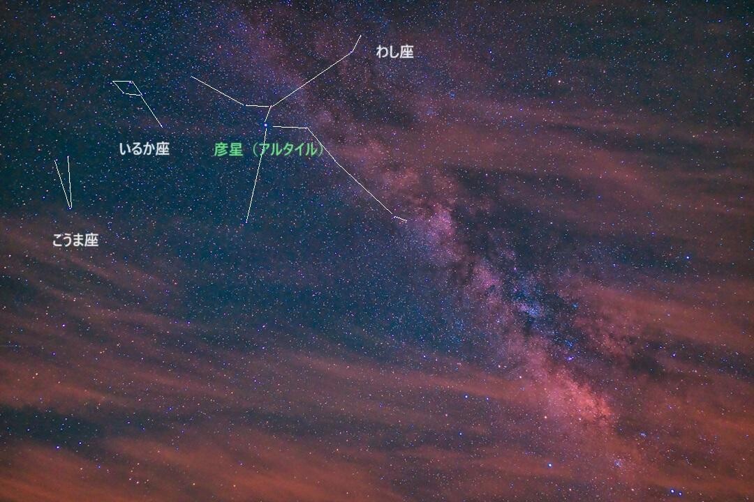 万年山からの天の川とミヤマキリシマ（R6.5.18）① / としちゃんさんの万年山・伐株山の活動データ | YAMAP / ヤマップ