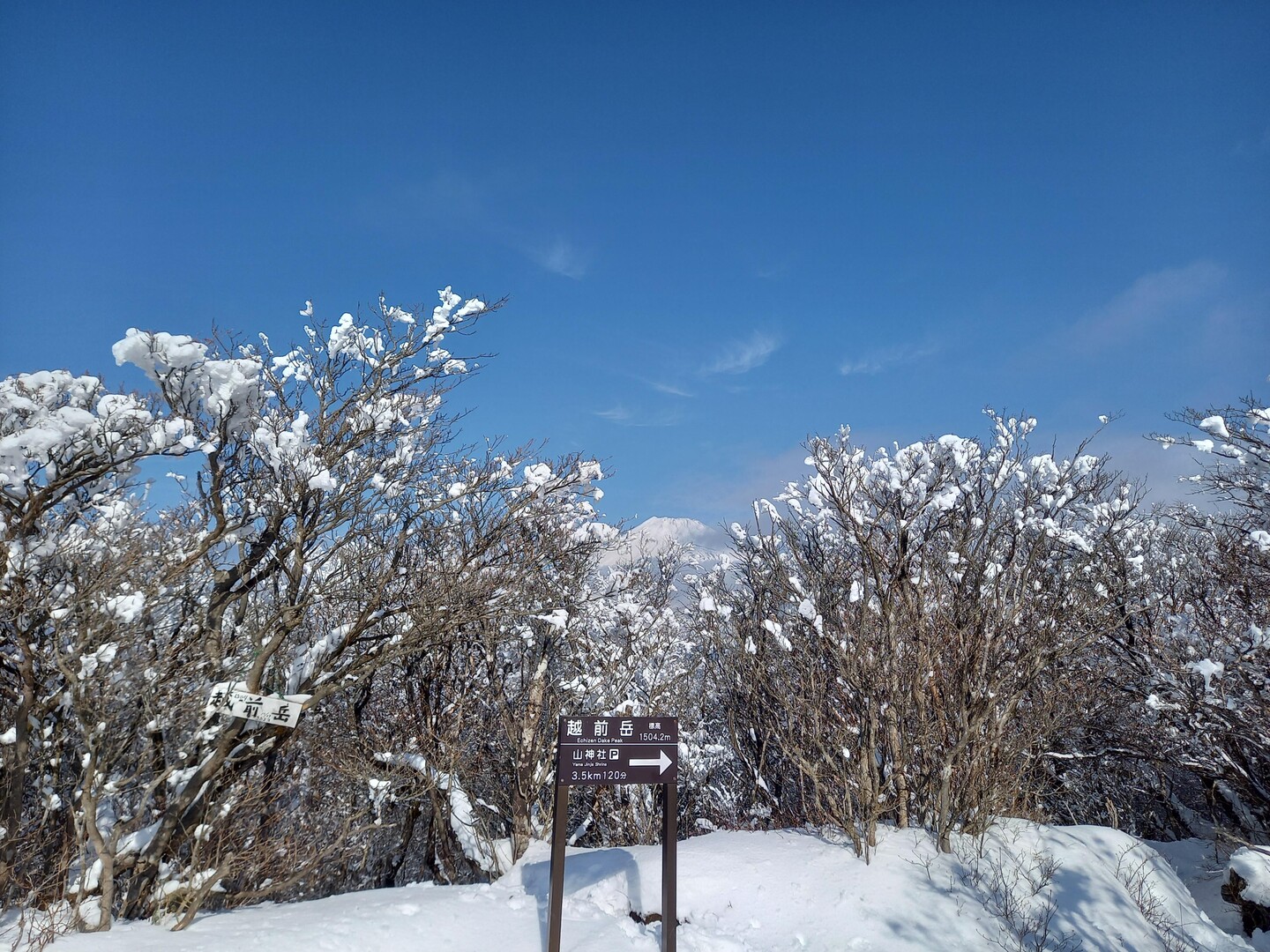 雪の越前岳 / kojiくんさんの愛鷹山・大岳・黒岳の活動データ | YAMAP / ヤマップ