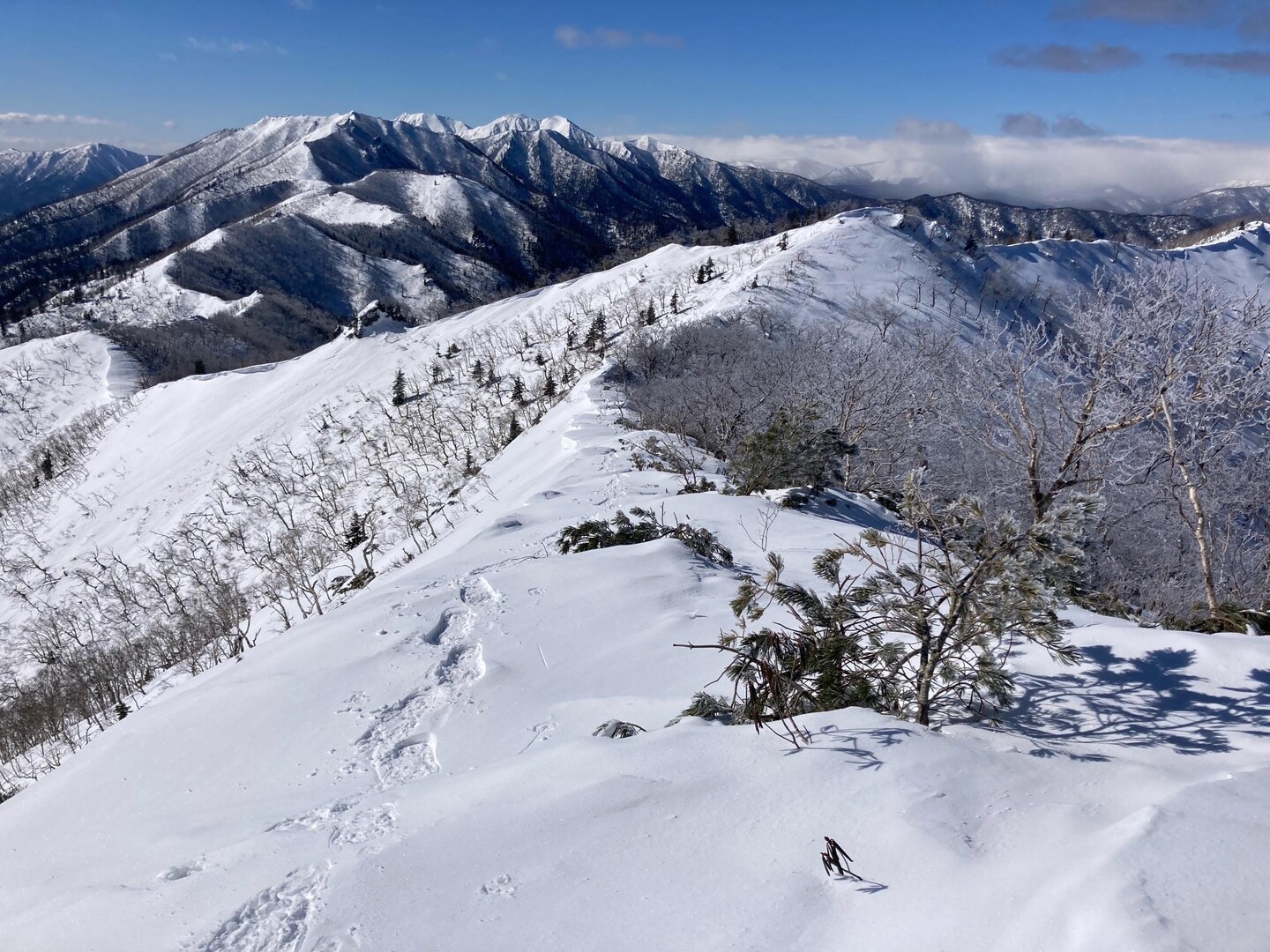 三国山 / osa さんの三国山の活動データ | YAMAP / ヤマップ