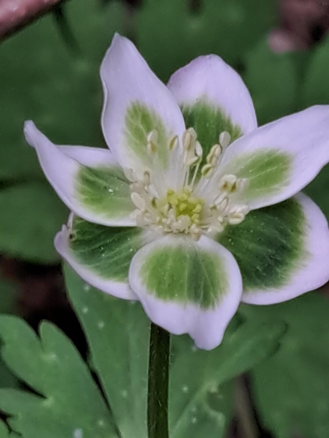 2023.04.29(土) 22:32 / Ku-minさんのモーメント | YAMAP / ヤマップ