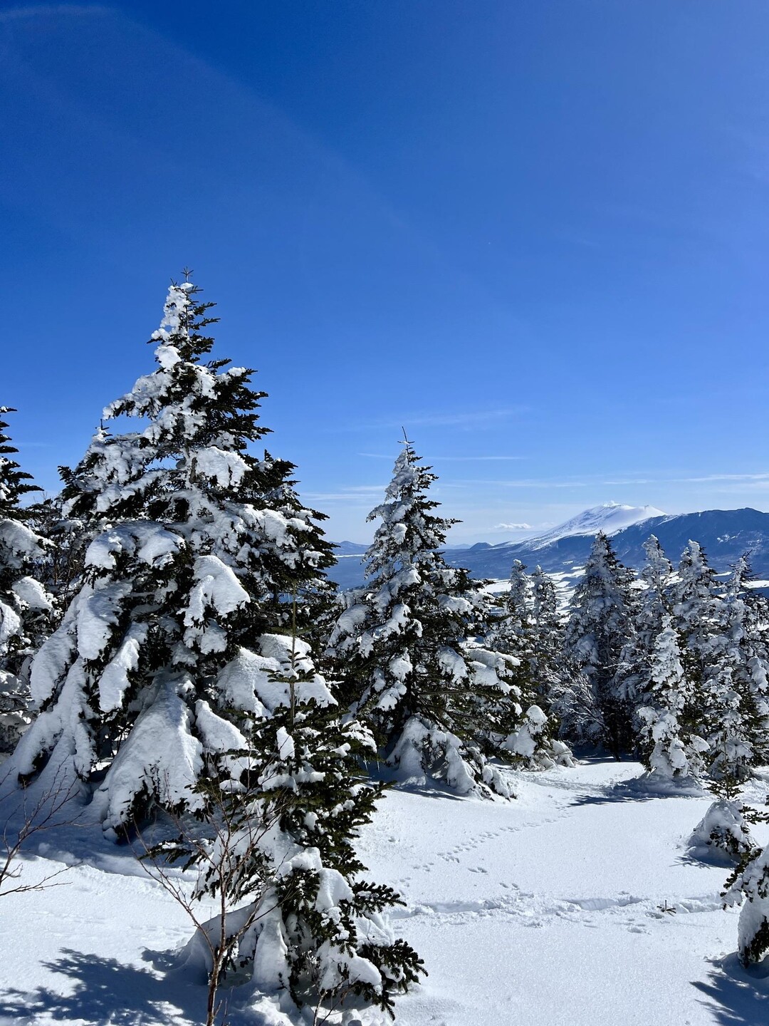 四阿山 / yuzuさんの四阿山・根子岳の活動データ | YAMAP / ヤマップ