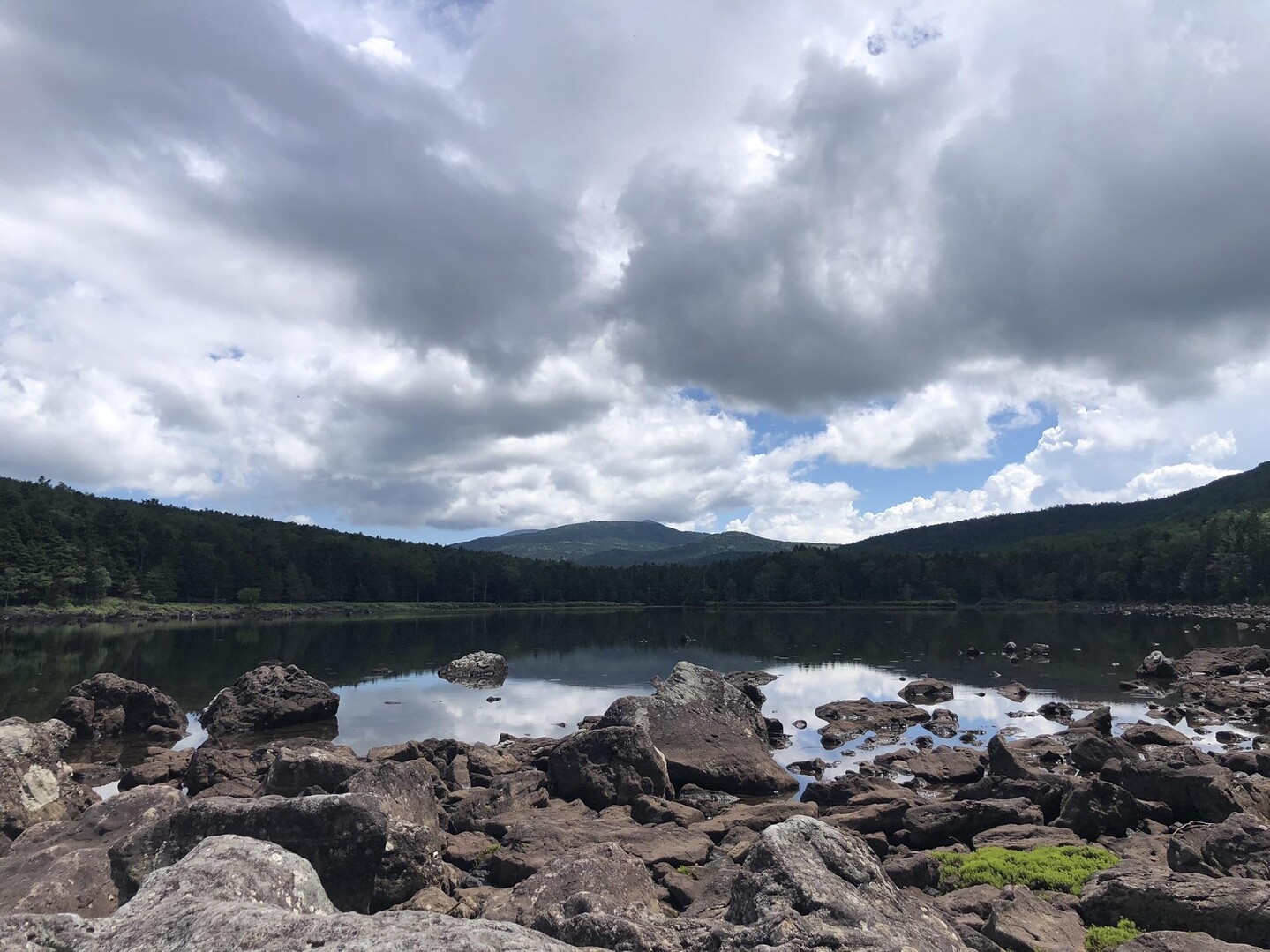 丸山(茅野市・佐久穂町)・中小場・茶臼山・縞枯山 / fumiさんの八ヶ岳（赤岳・硫黄岳・天狗岳）の活動データ | YAMAP / ヤマップ