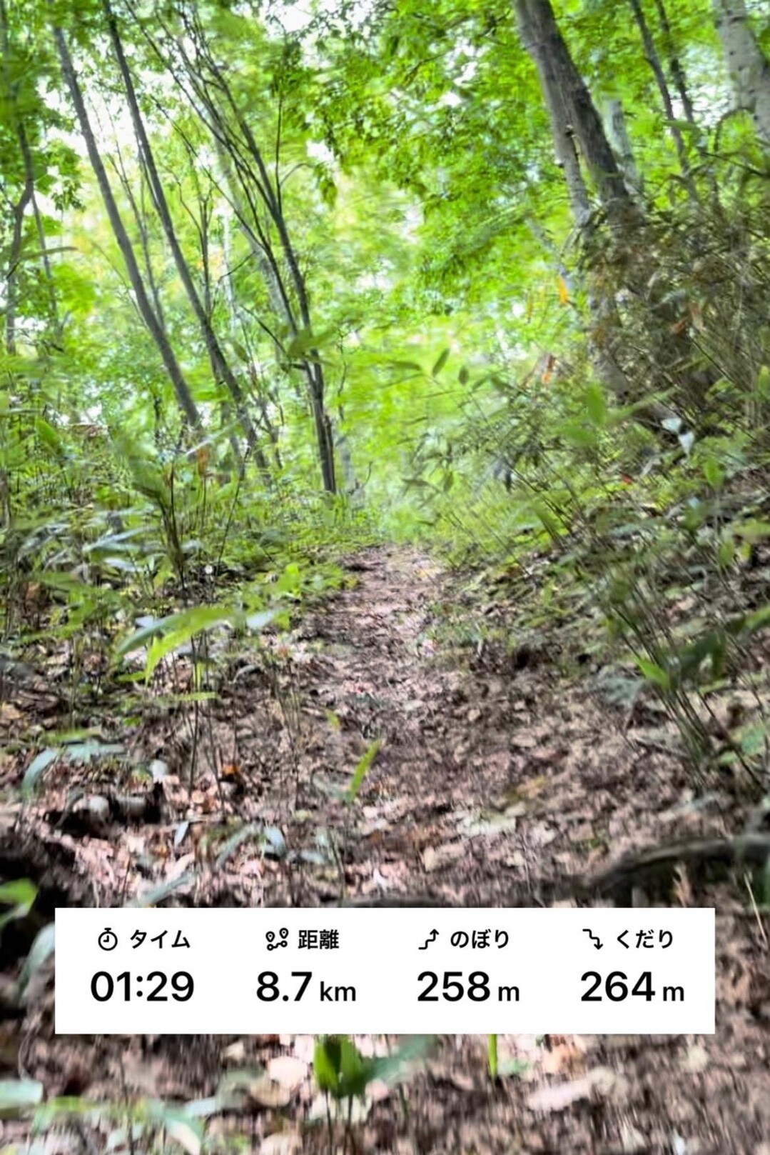 今日は、8.7km ゆるゆるジョグでした... / tagu71さんのモーメント | YAMAP / ヤマップ