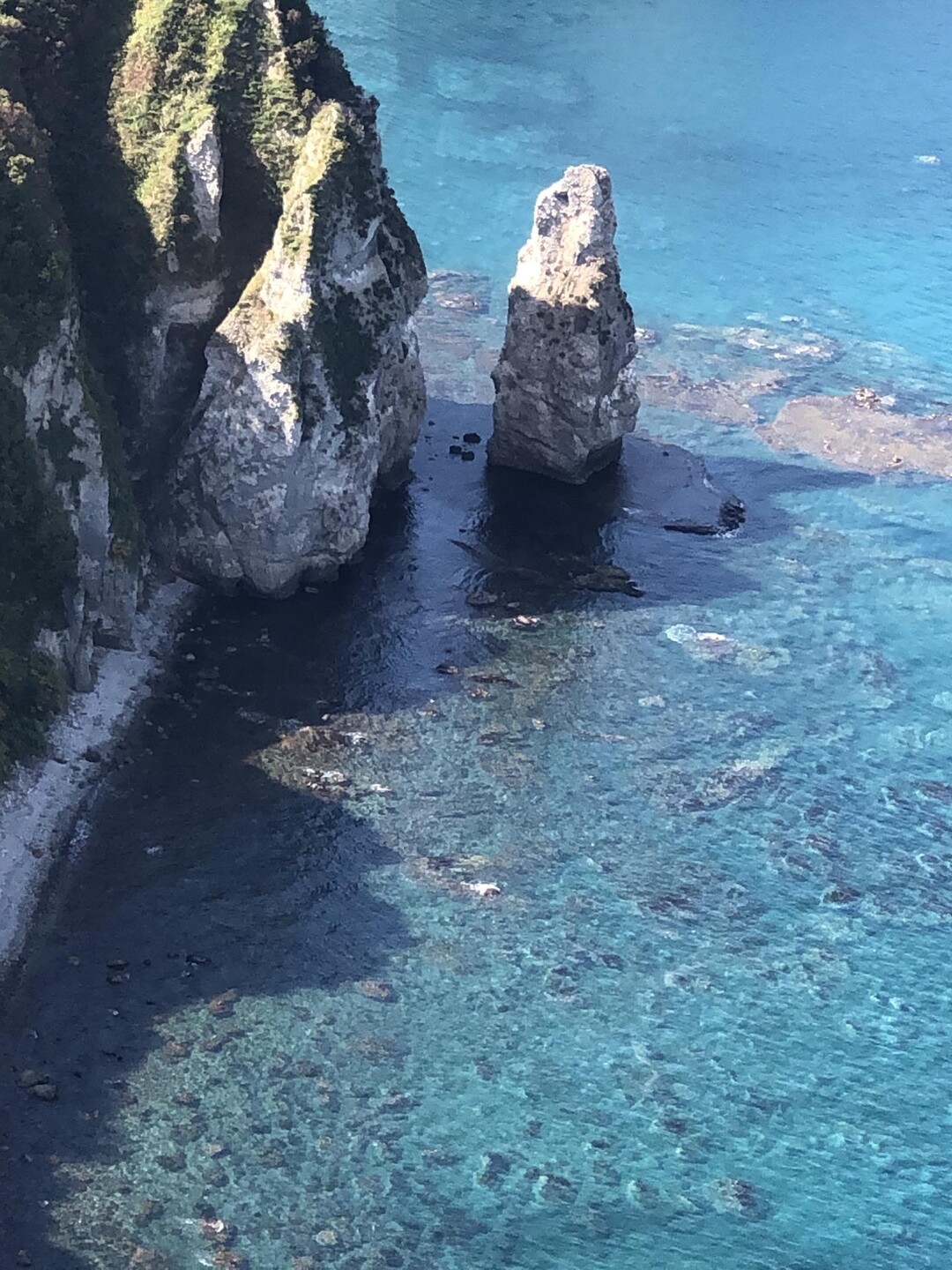 尻場山 / mamikoさんの尻場山の活動日記 | YAMAP / ヤマップ