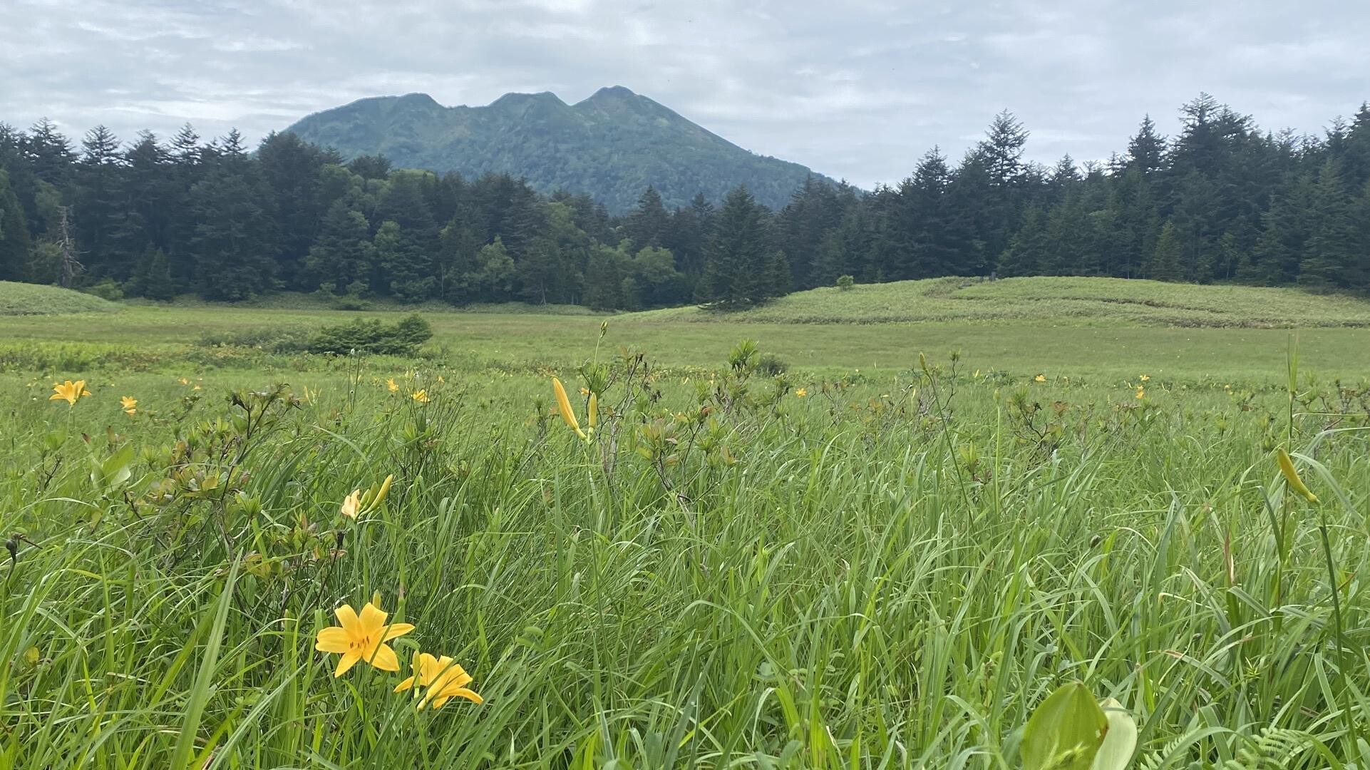 見たかった景色 大江湿原と燧ヶ岳 尾瀬沼と燧ヶ岳 / ピアノの詩人さんの尾瀬・燧ヶ岳の活動データ | YAMAP / ヤマップ