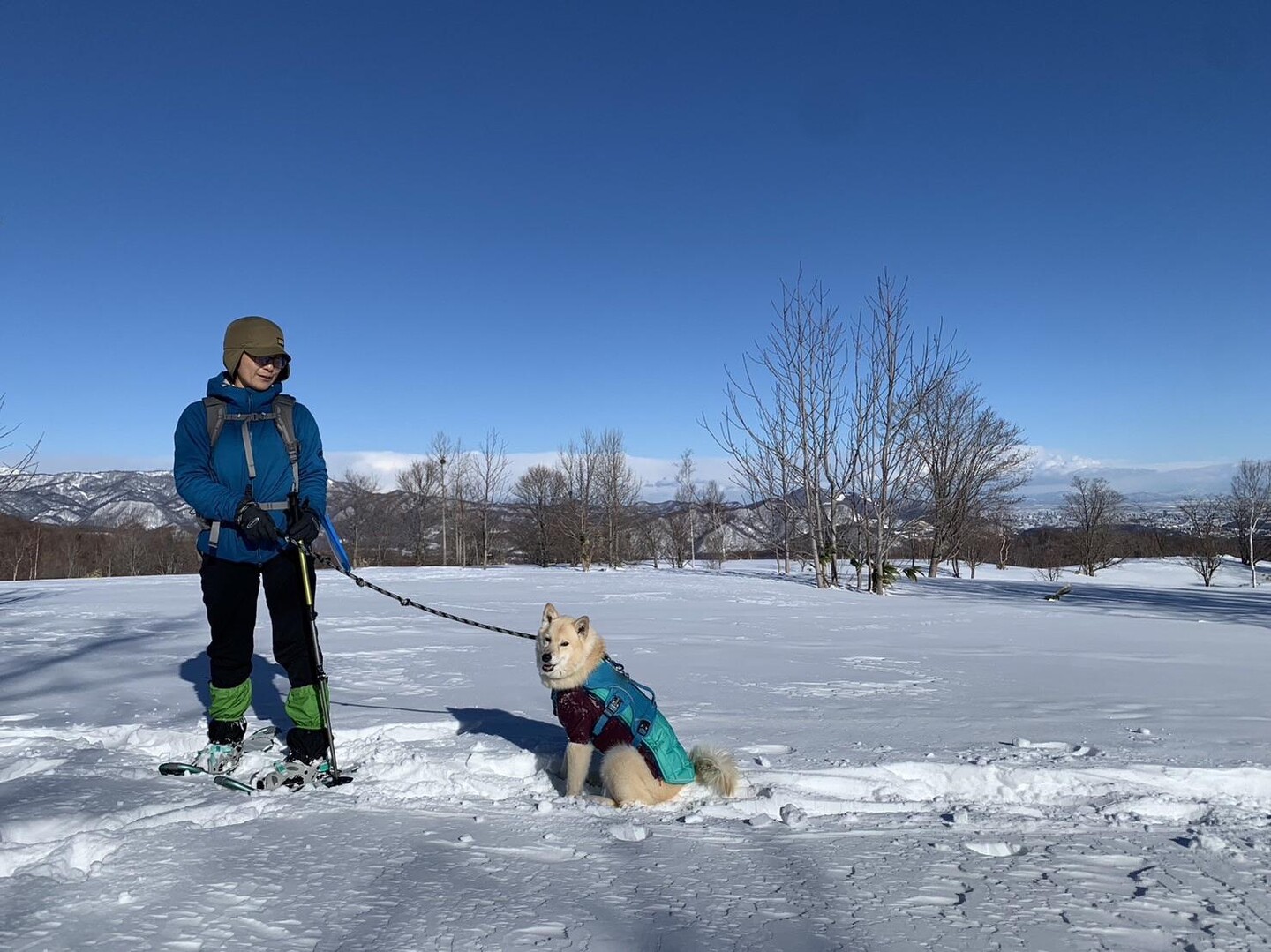 穴沢山・常磐ヒルズ / midoriさんの豊平山（焼山）の活動データ | YAMAP / ヤマップ