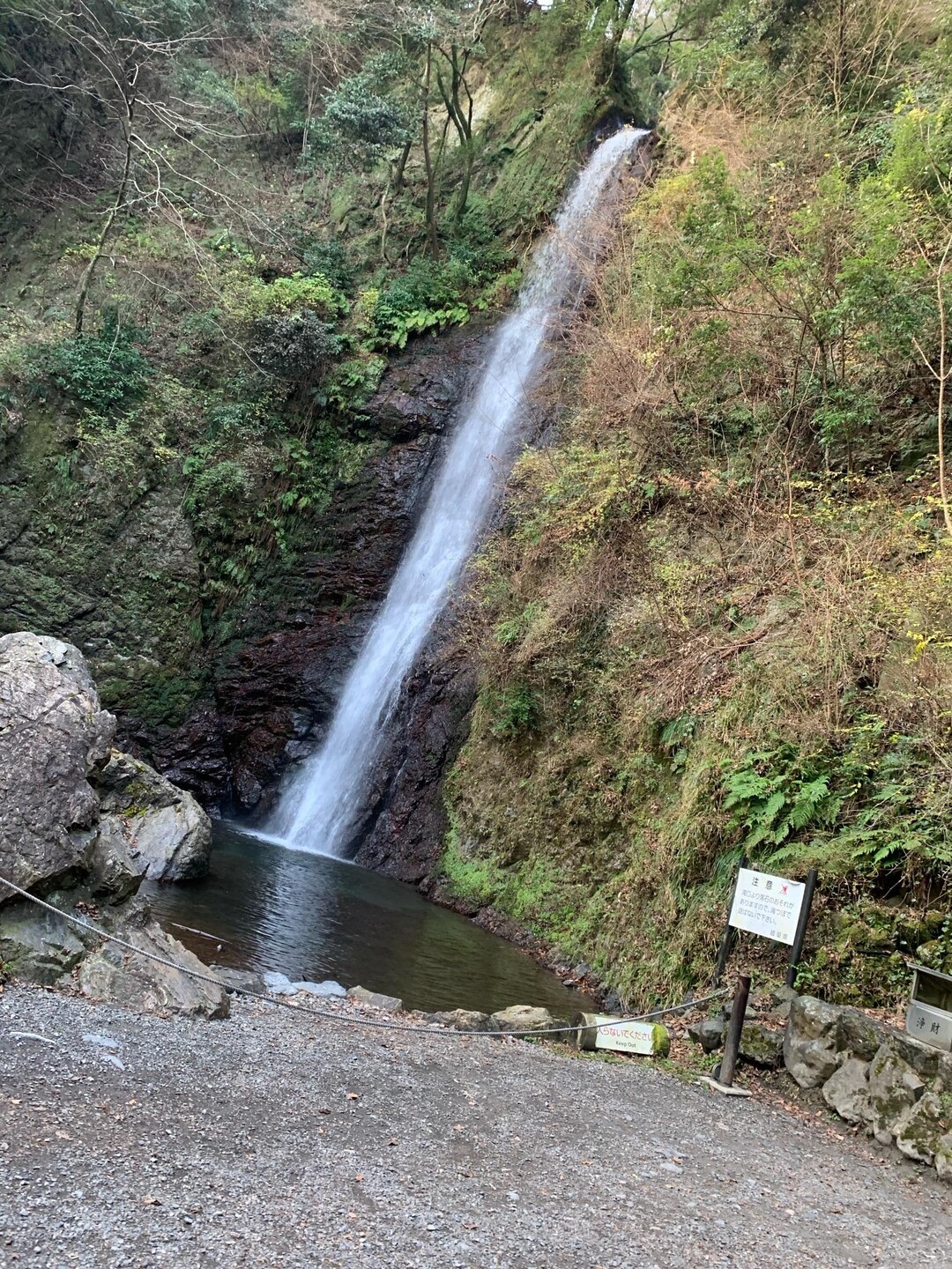 三方山・小倉山・北尾根P826峰 / たろさんの養老山・笙ヶ岳・三方山の活動日記 | YAMAP / ヤマップ