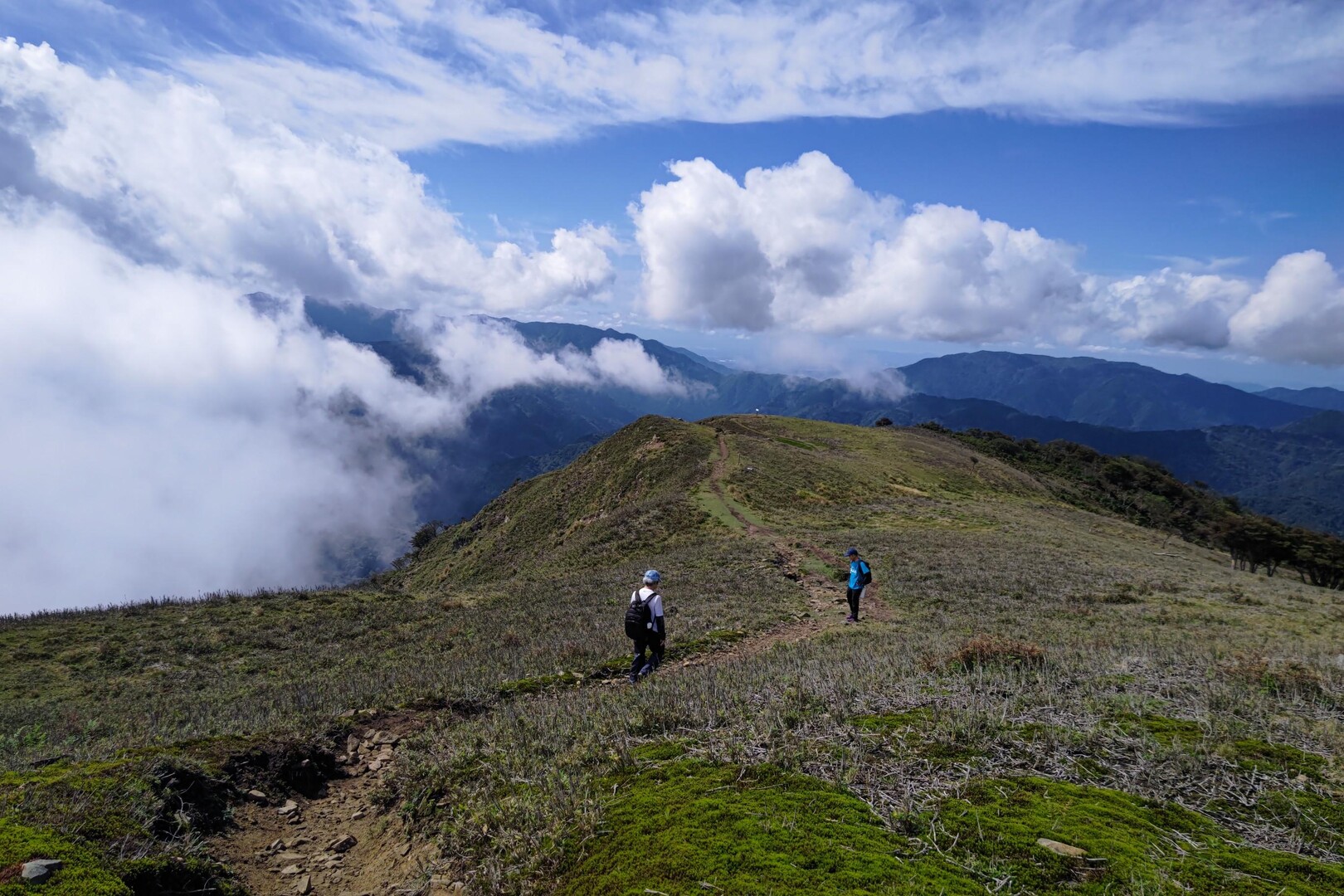 竜ヶ岳・砂山…トレランコ～ス / cocataさんの竜ヶ岳の活動日記 | YAMAP / ヤマップ